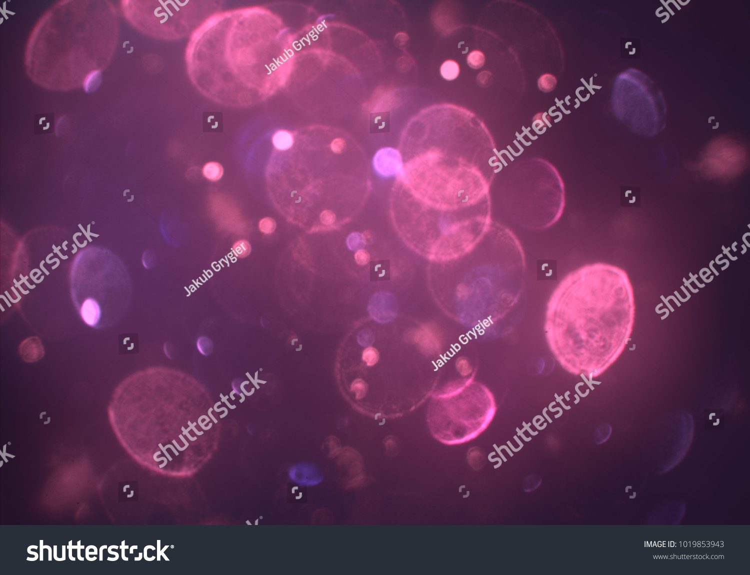 Bokeh abstract texture. Colorful. Defocused background. Blurred bright light. Circular points._站 ...