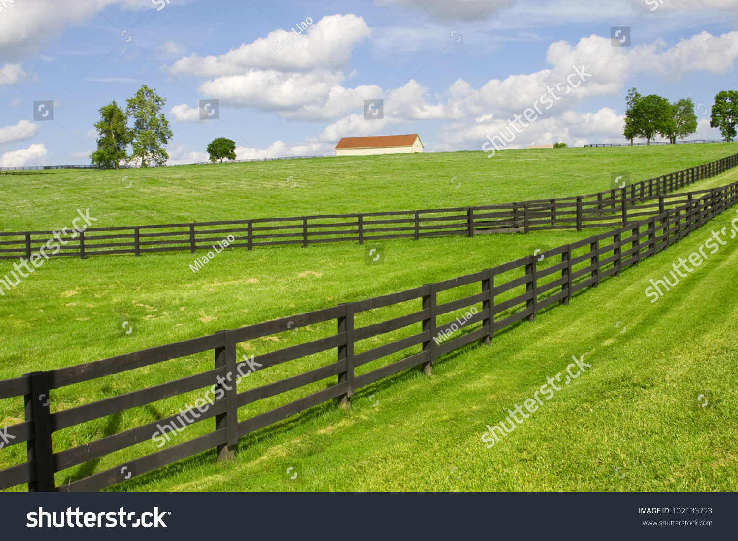 Sprawling acres of fenced in green pastures surround a horse farm ranch ...