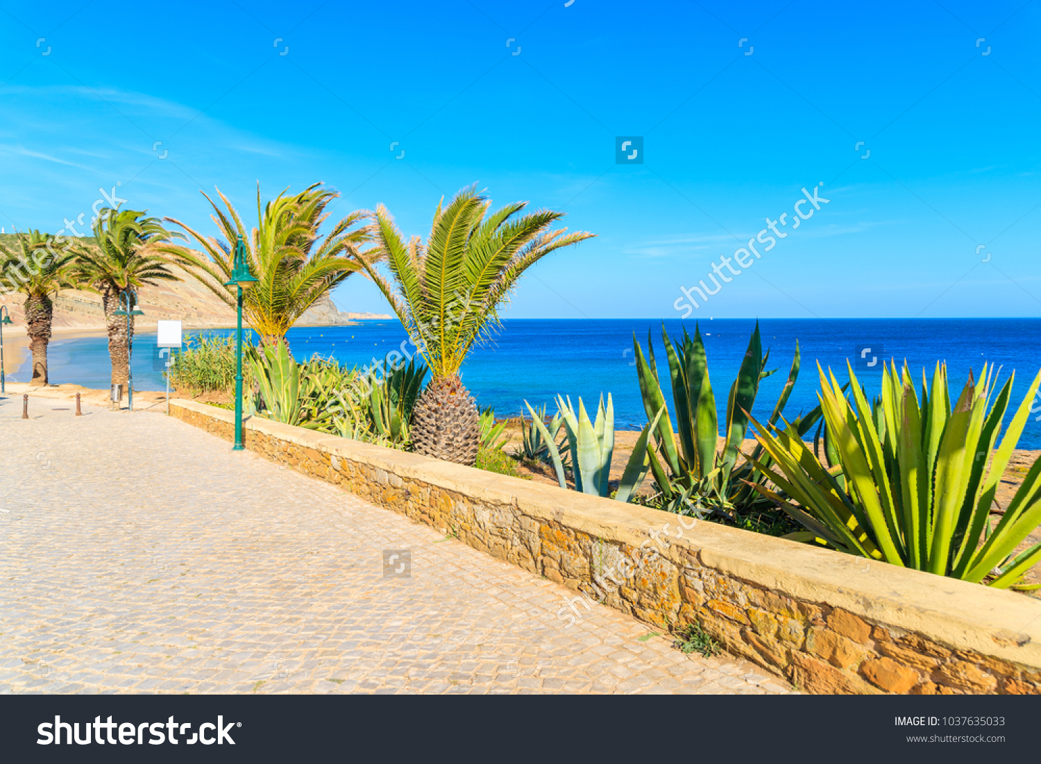 Coastal promenade with palm trees in Luz town Algarve region Portugal_站 ...