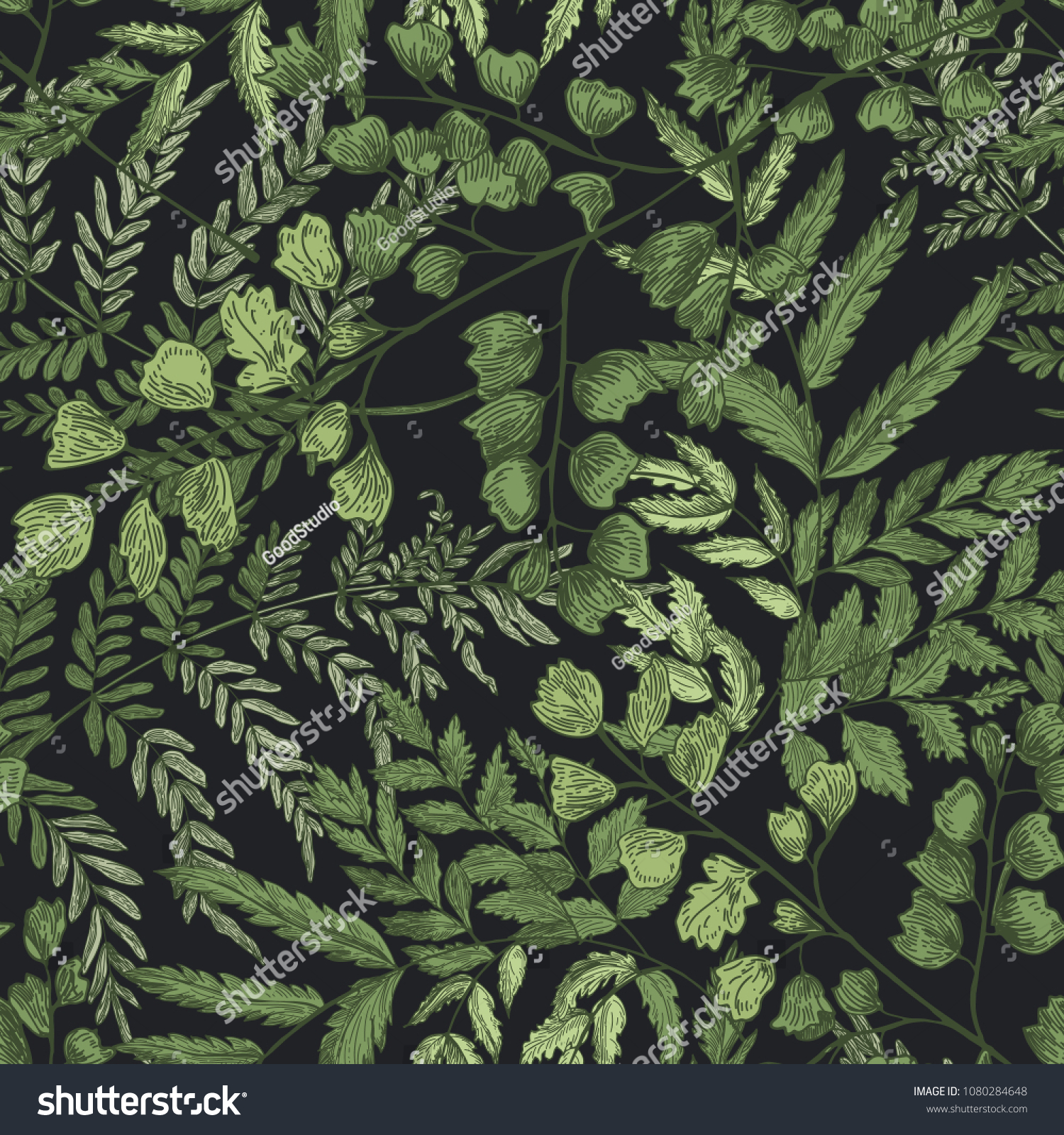 Natural seamless pattern with ferns and green herbaceous plants on black background. Gorgeous ...