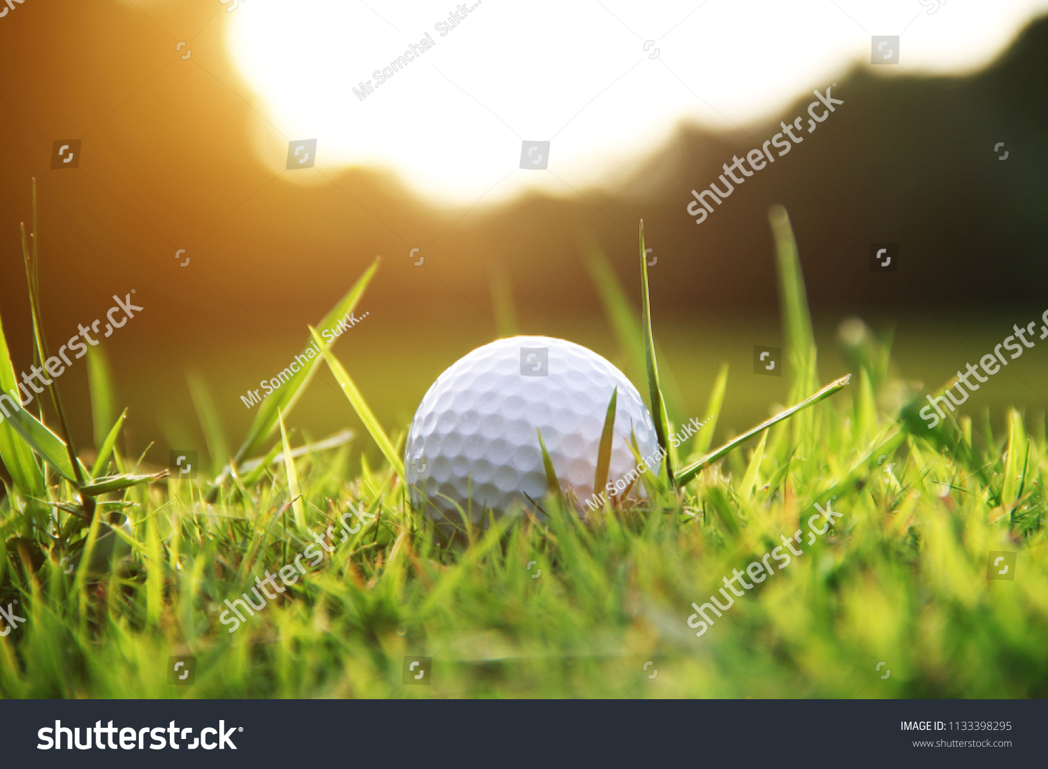 Blurred golf ball in beautiful golf course with sunset. Golf ball close ...
