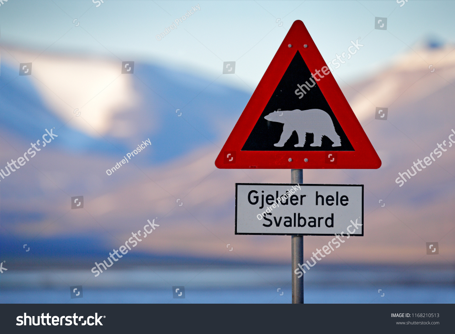 Red road traffic sign with Polar bear. “Gjelder Hele Svalbard” means ...