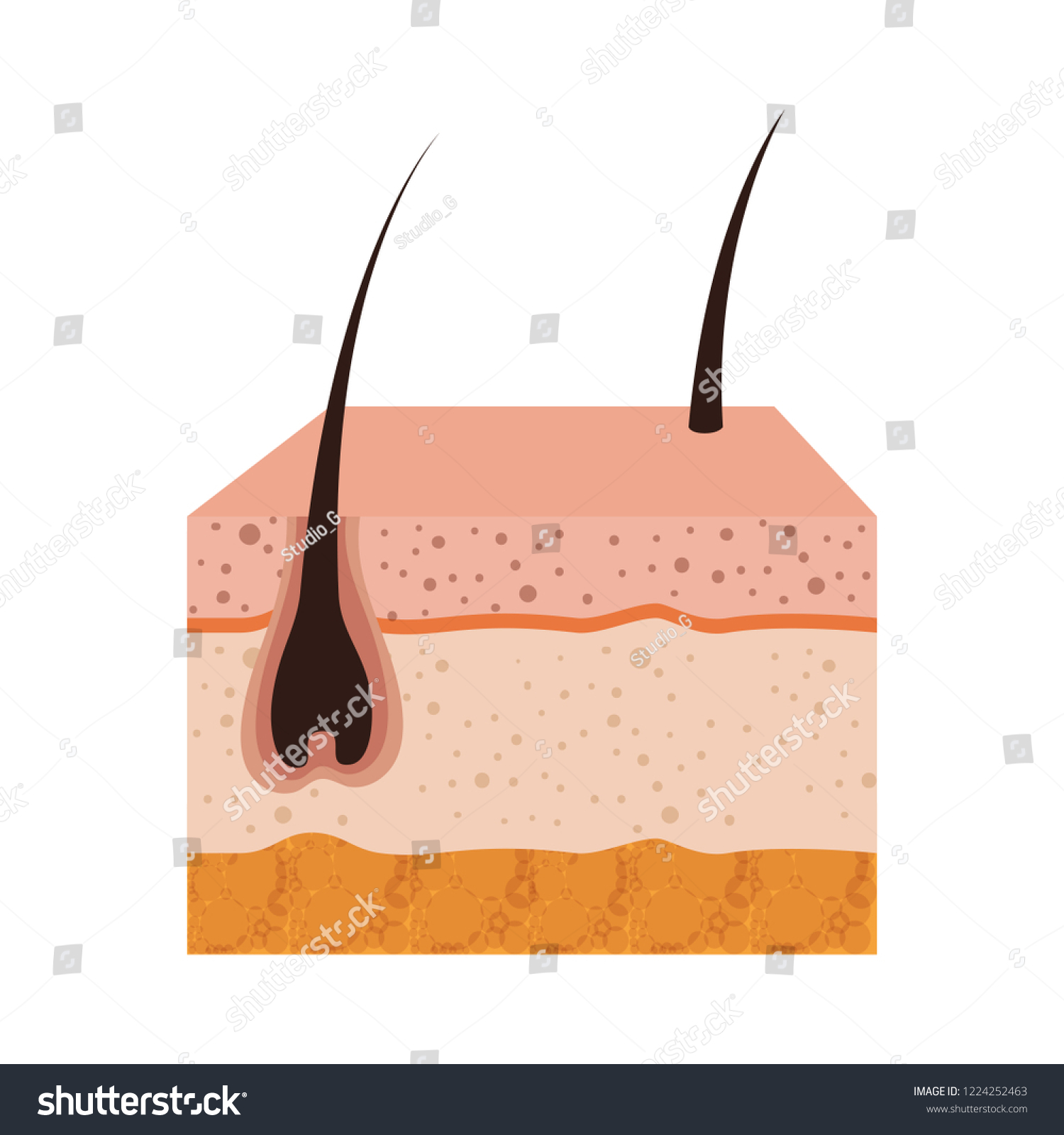 skin with facial hair_站酷海洛_正版图片_视频_字体_音乐素材交易平台_站酷旗下品牌