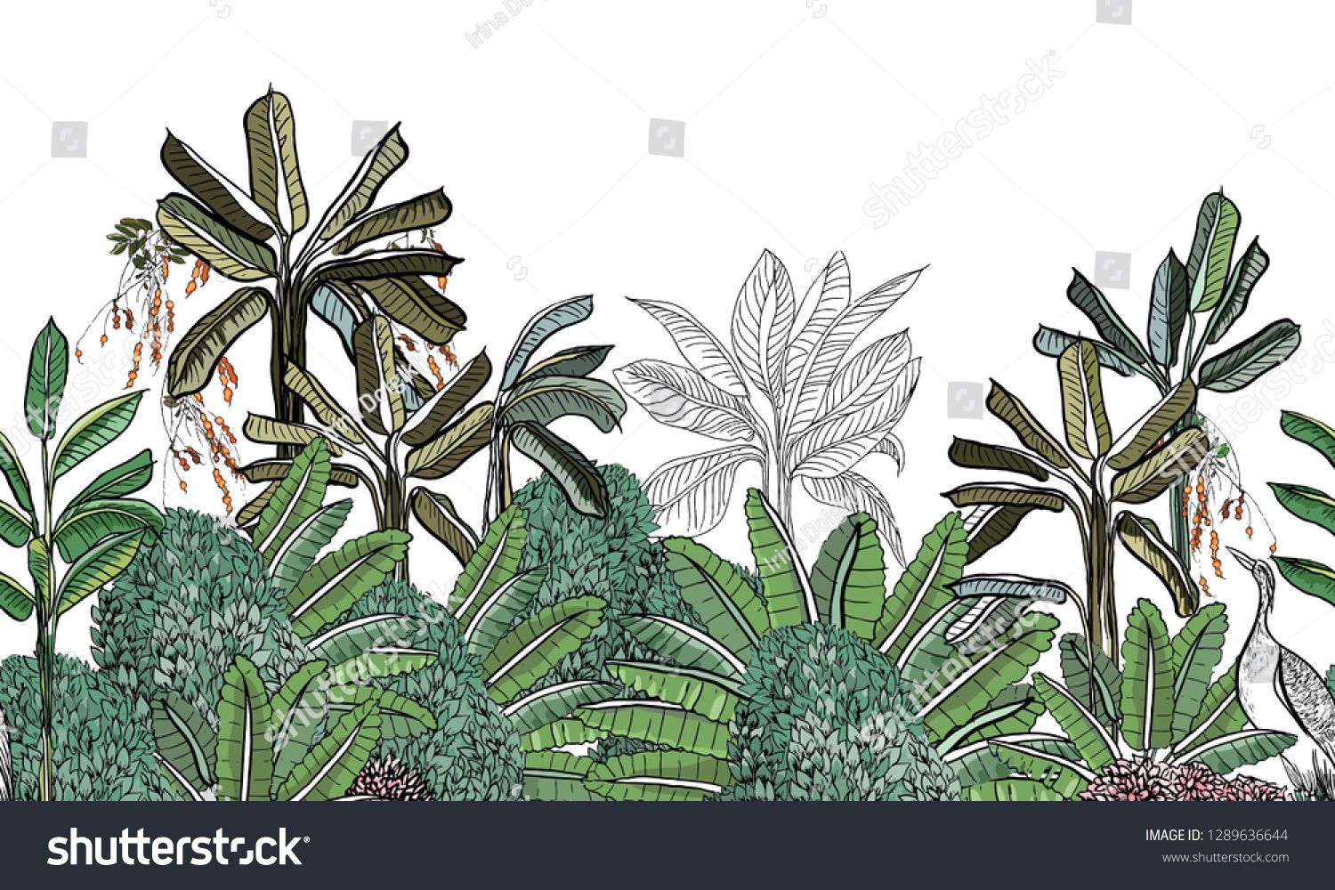 Vector Seamless Pattern RainForest Skyline Border Tropical Jungle with ...