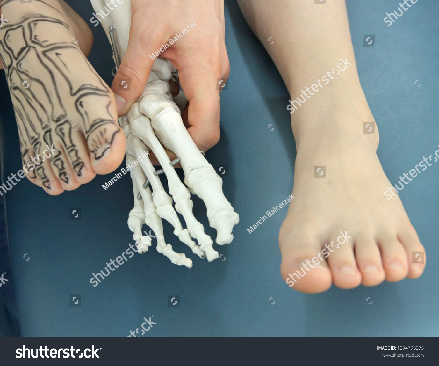 human foot with drawing bones on the skin foot without drawing and ...