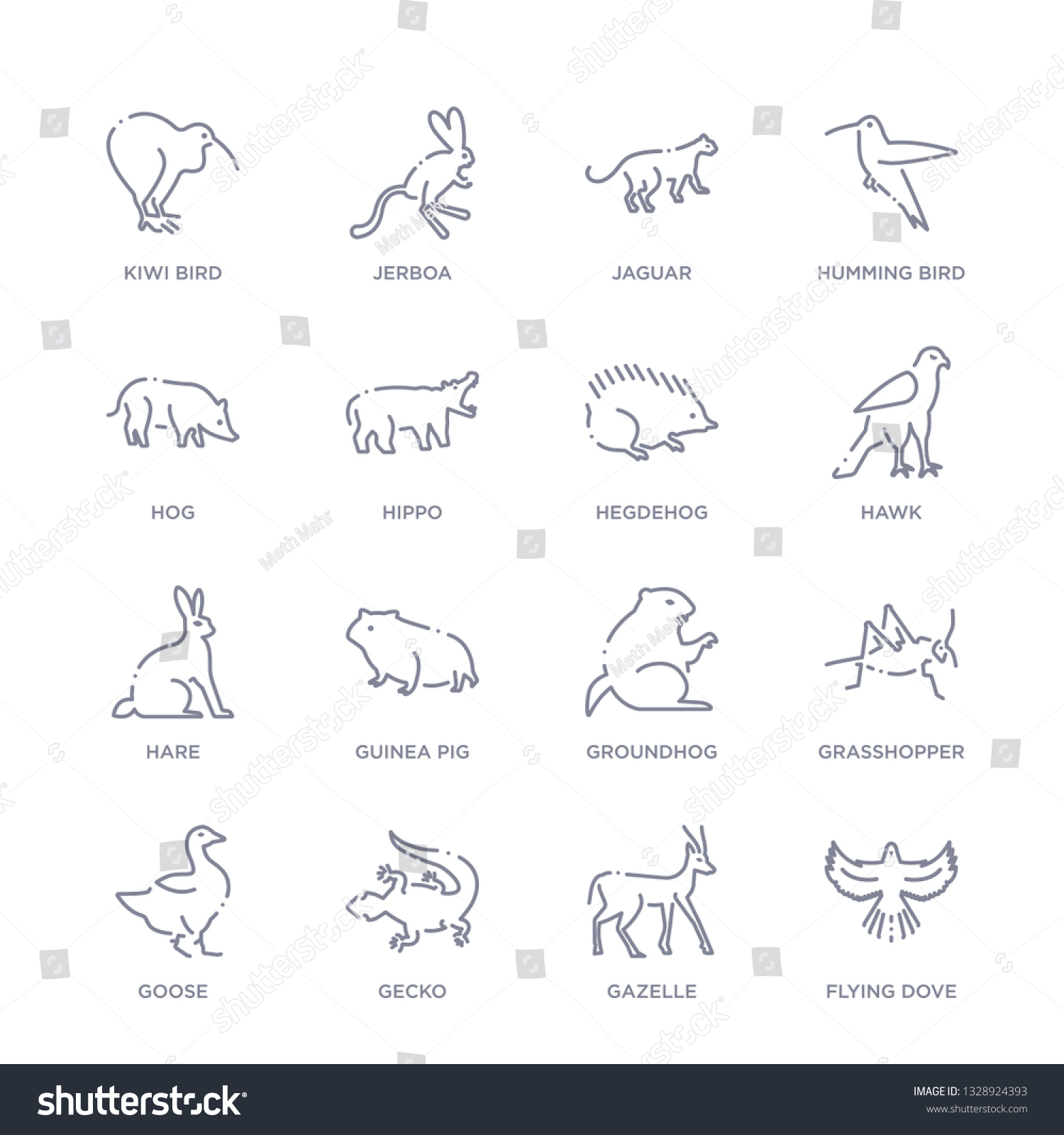 set of 16 thin linear icons such as flying dove gazelle gecko goose ...