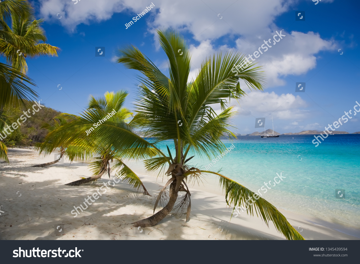 Tropical palm trees on secluded empty Salomon Beach in the Virgin ...