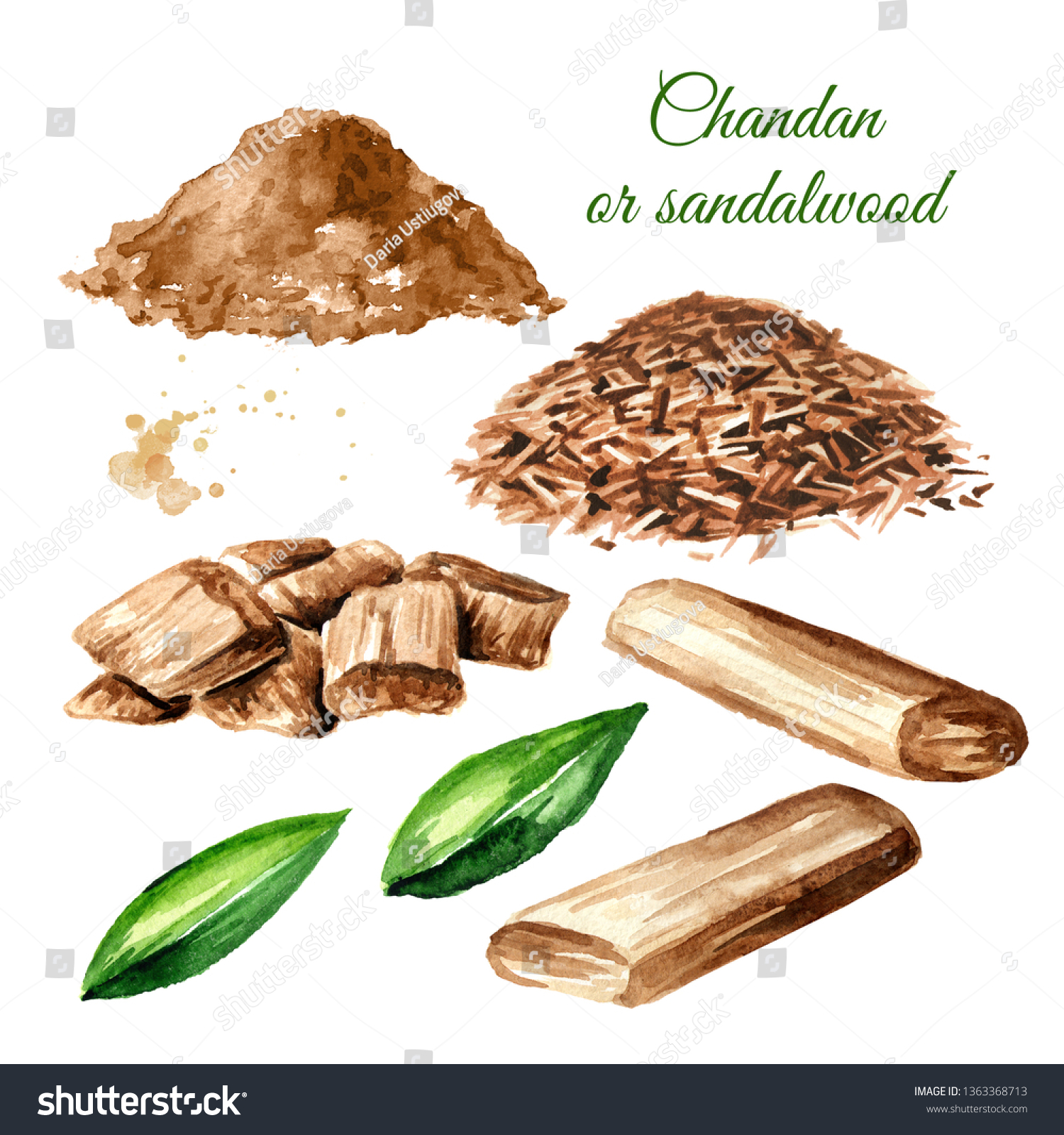 Sandalwood or Chandan Set. Sticks shavings powder and leaves ...