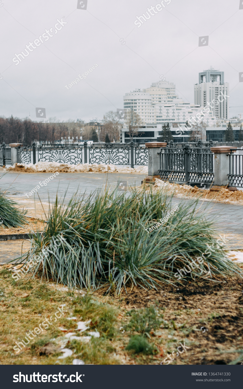 embankment. city view. green grass_站酷海洛_正版图片_视频_字体_音乐素材交易平台_站酷旗下品牌