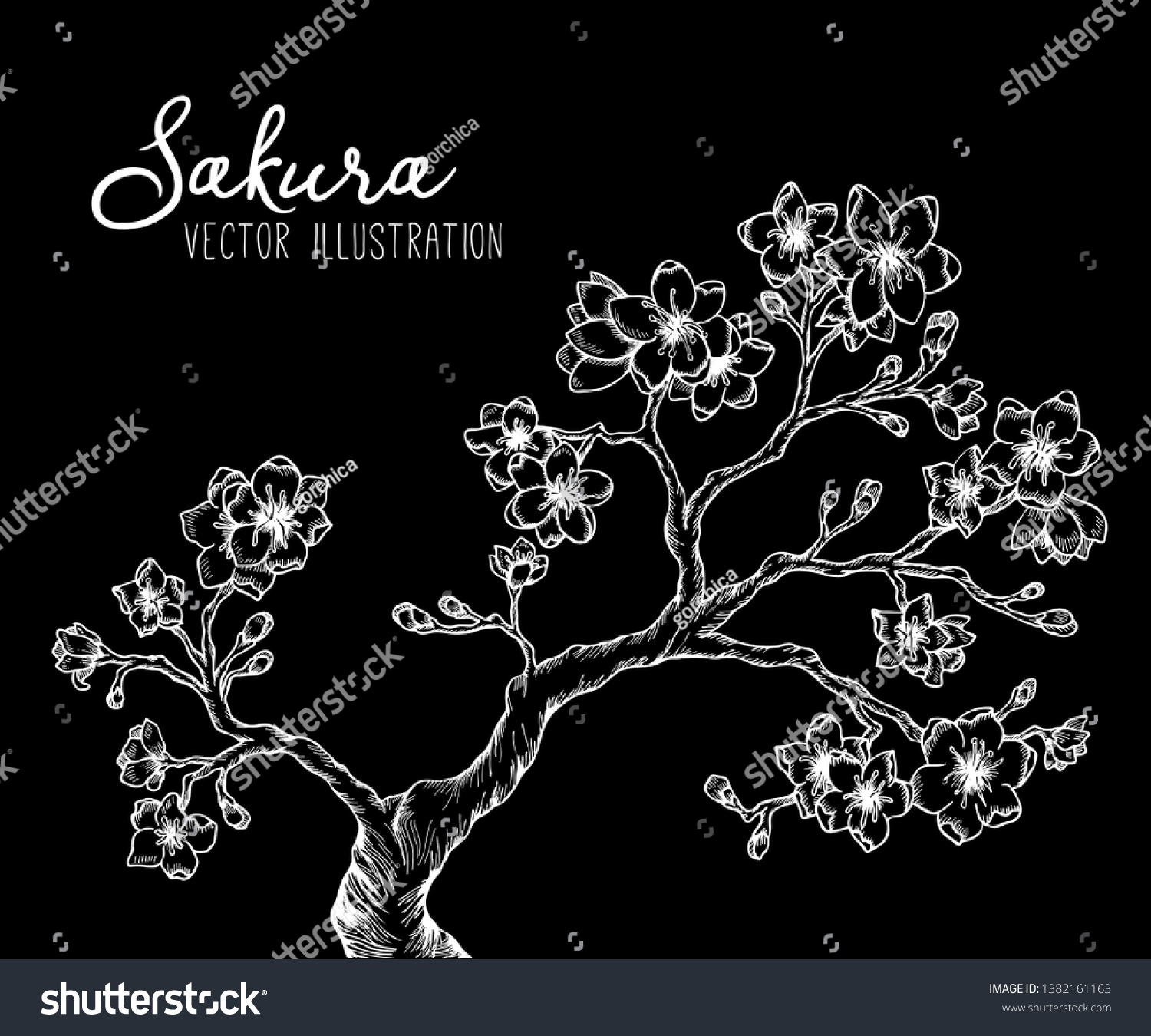 Line art with sakura. Black wall art. Monochrome beautiful floral ...