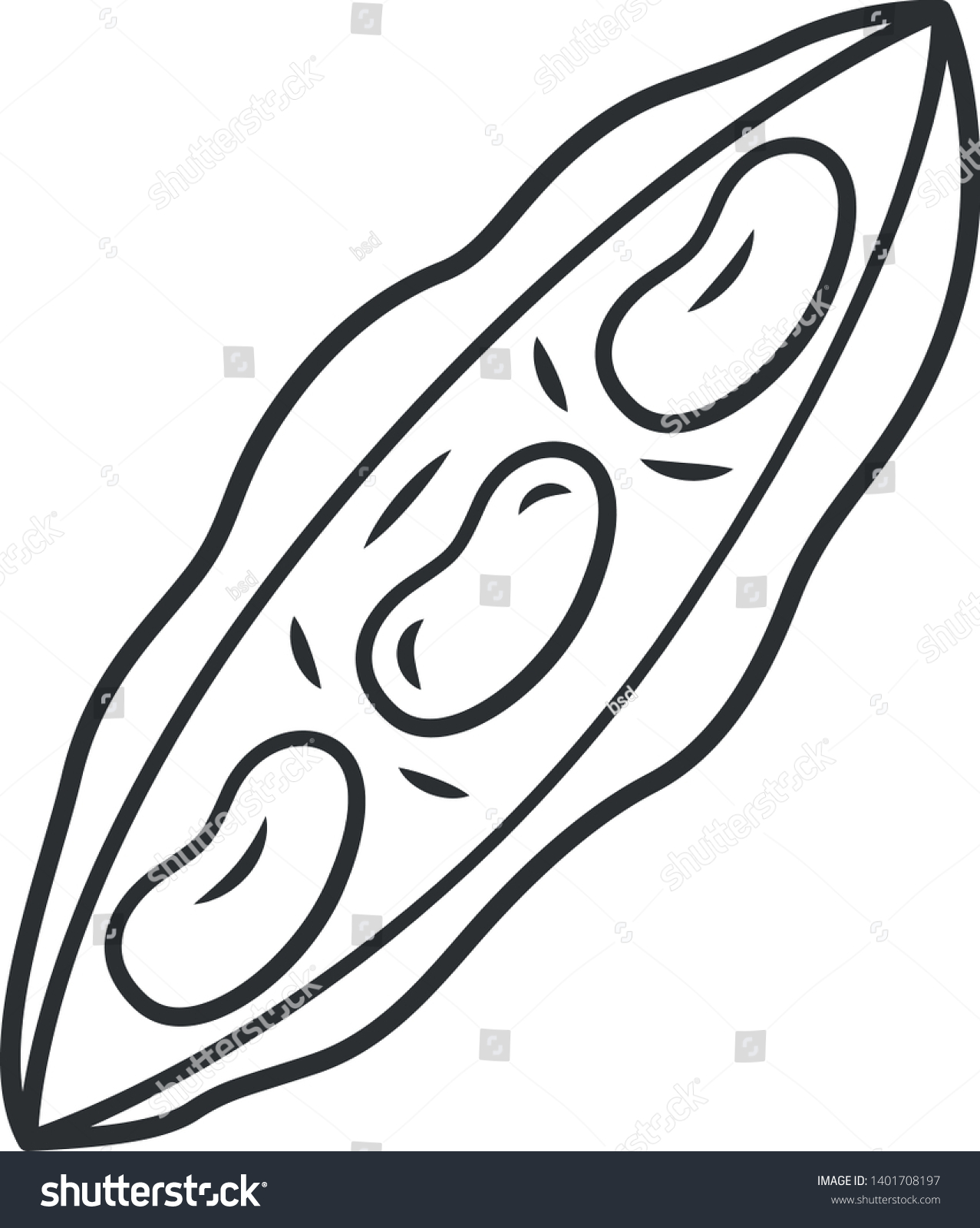 Haricot linear icon. Agriculture plant. Vegetable farm. Kidney bean ...