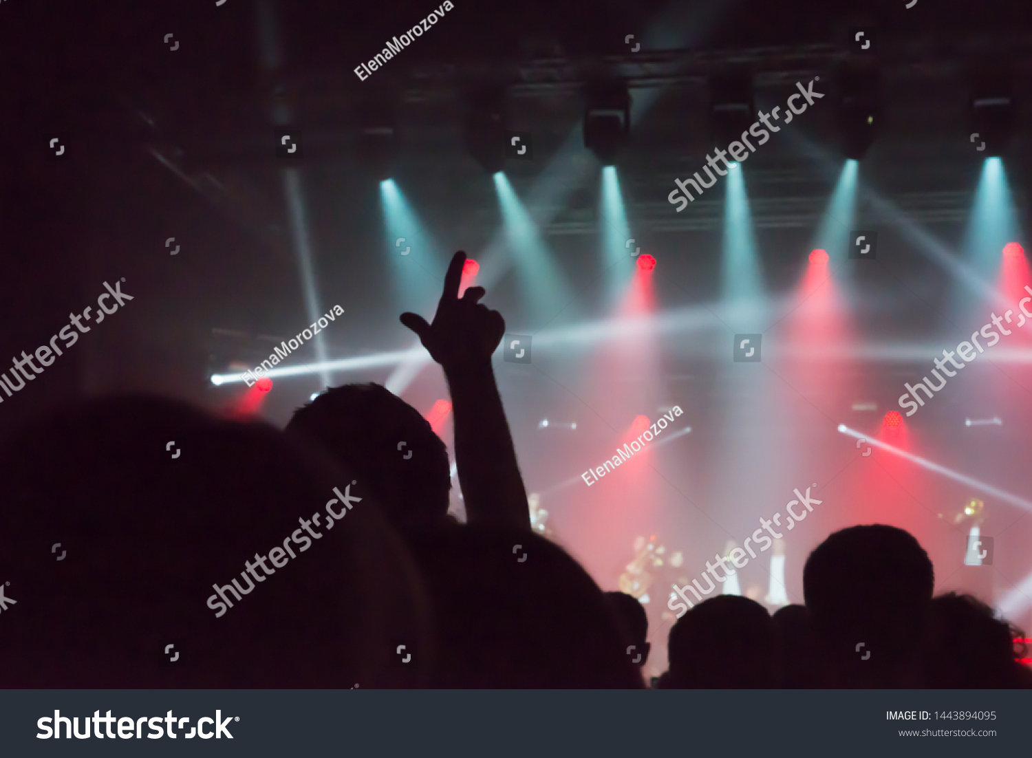 Musical concert. People in the concert hall at the disco . Singer in ...