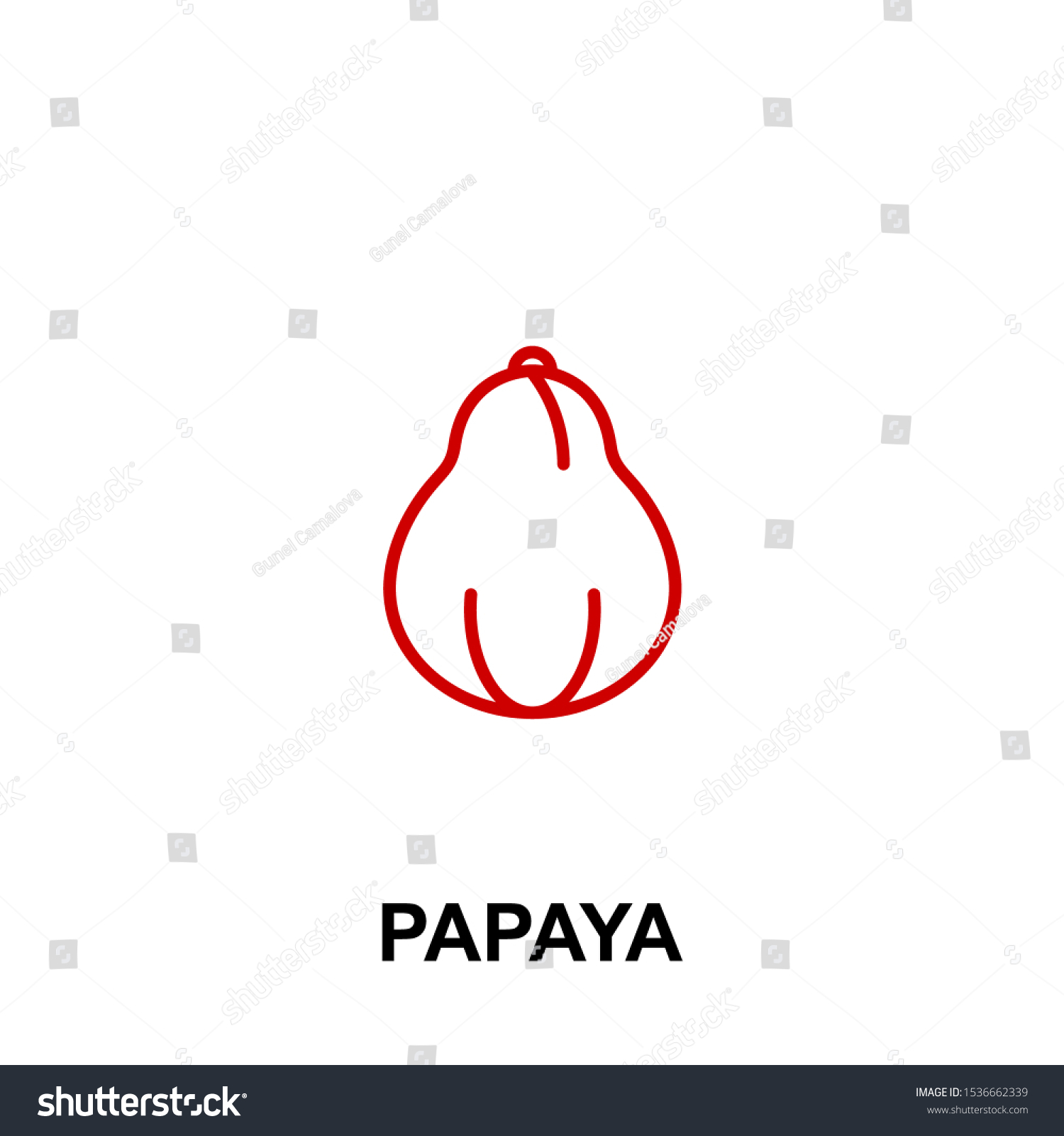 papaya icon. papaya vector design. sign design_站酷海洛_正版图片_视频_字体_音乐素材交易平台 ...