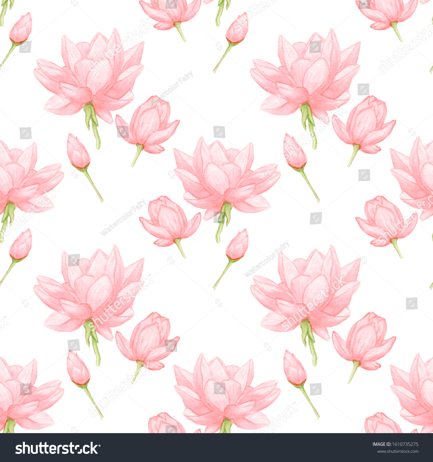 Tender Seamless Pattern of Pink Lotus Flowers on White Background ...