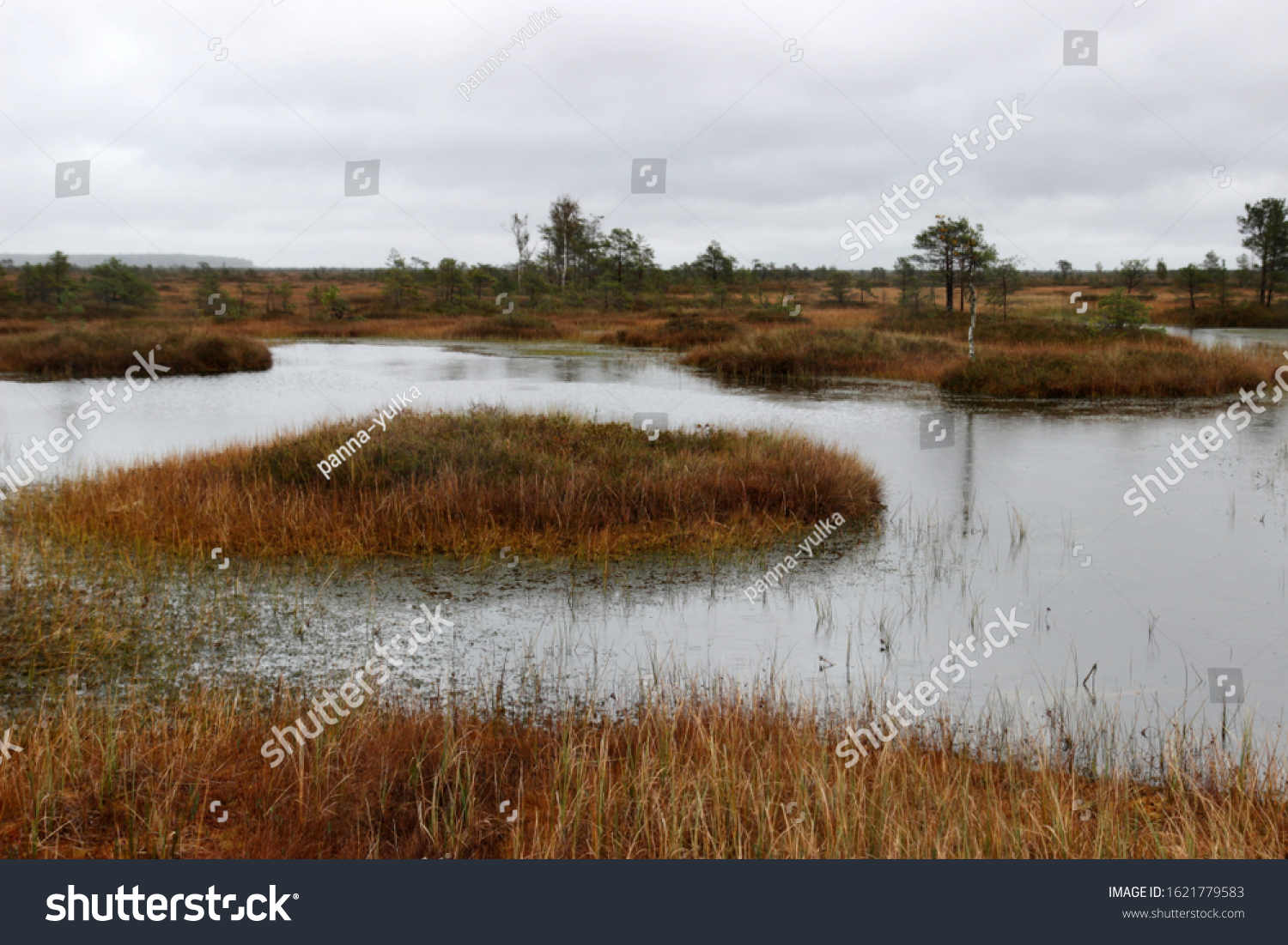 A very beautiful marsh lake covered with bright red grass and shrubs in ...