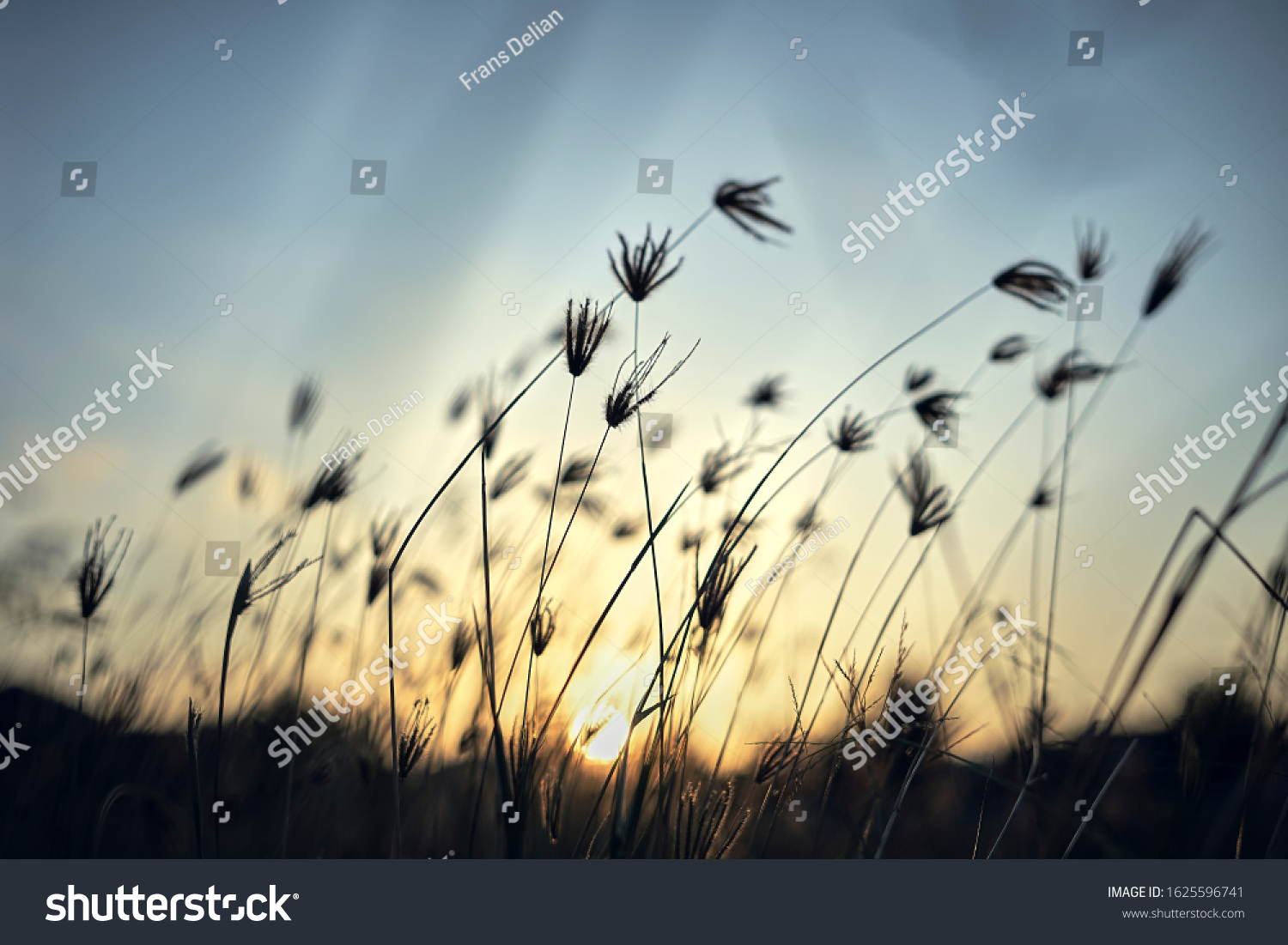 Beautiful Nature Sunset Scenery under Shining Sunlight _站酷海洛_正版图片_视频_字体 ...