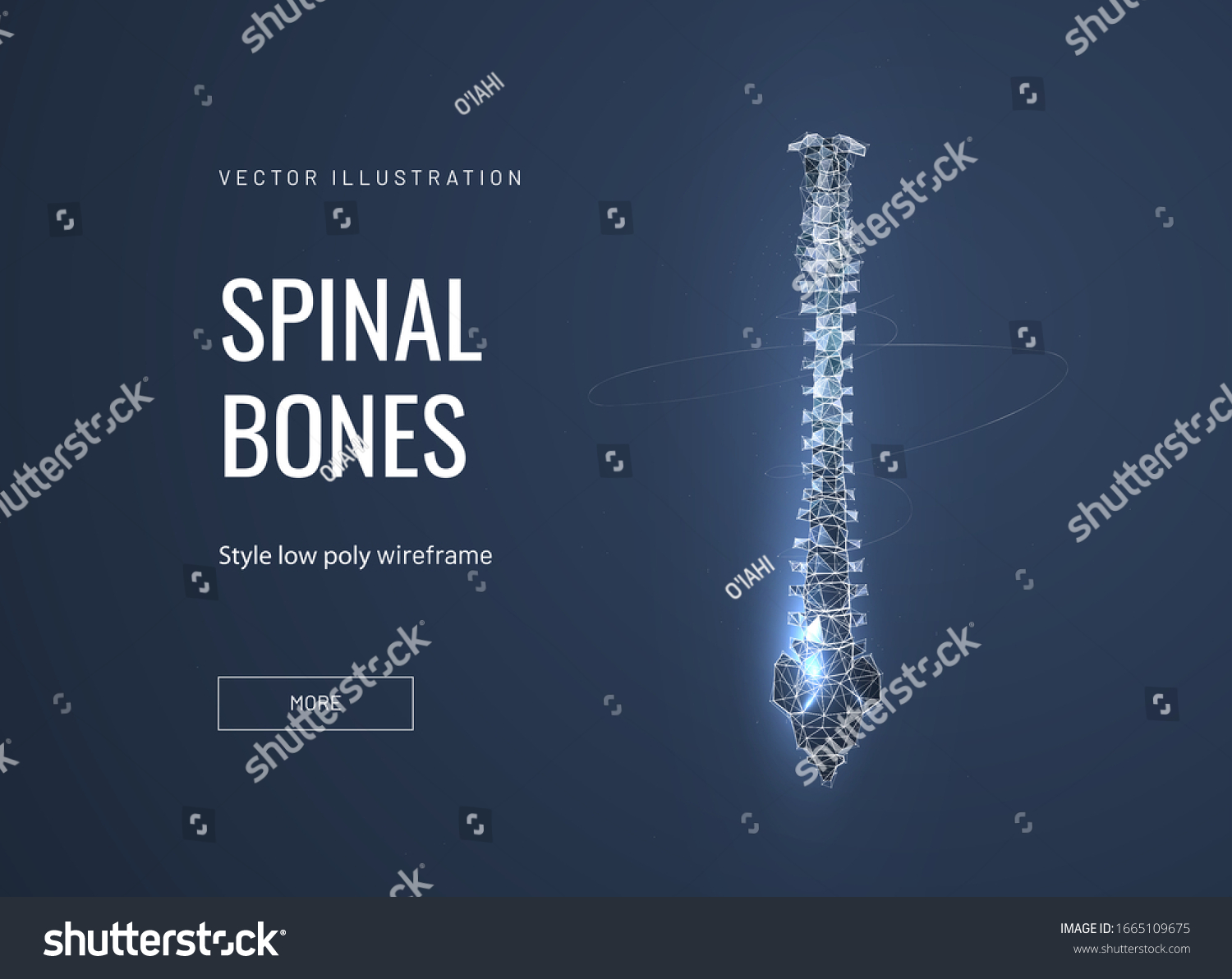 Spinal bones low poly wireframe landing page template. Anatomy biology science web banner. 3d ...