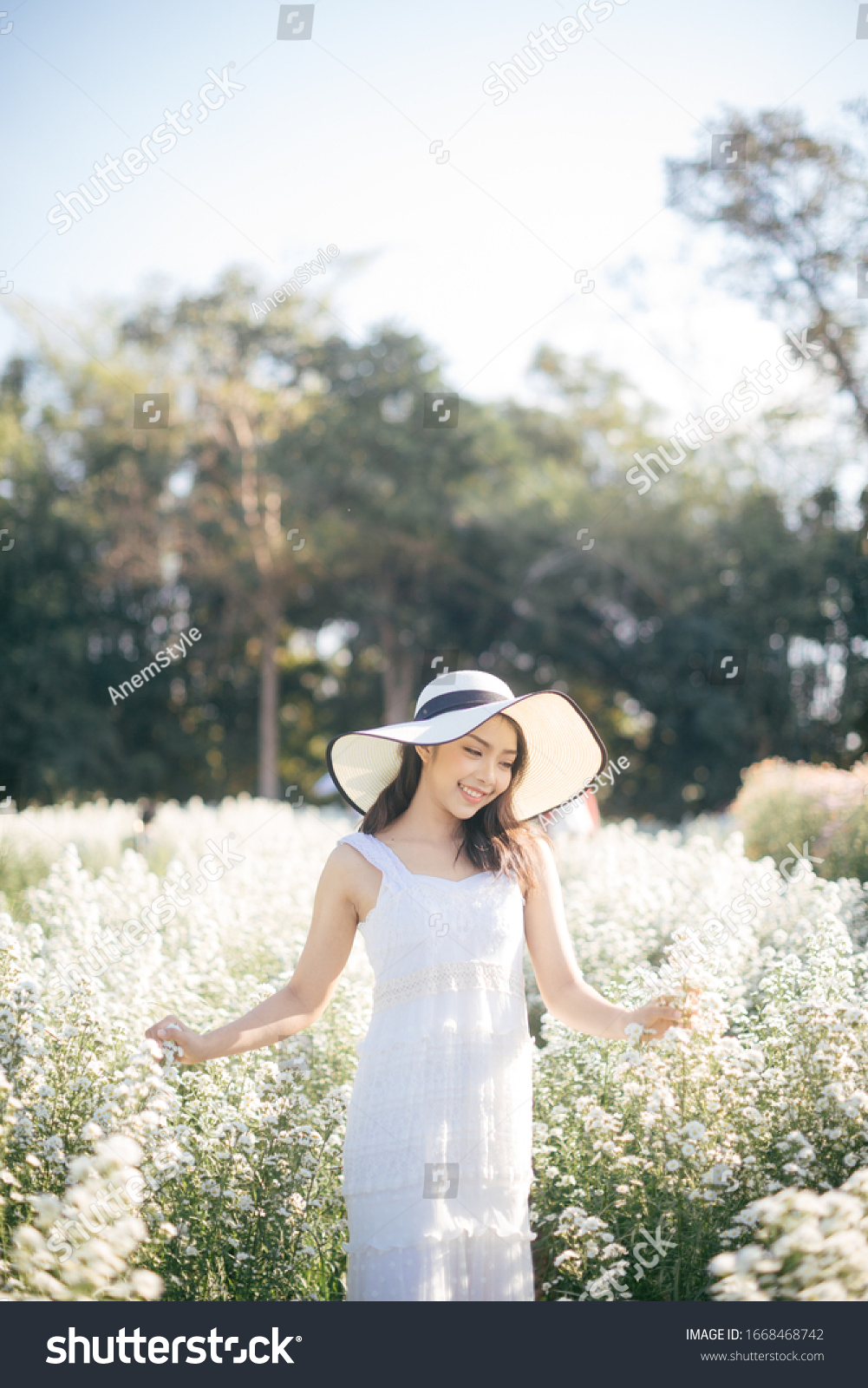 outdoor portrait of a beautiful asia woman. attractive cute girl in a ...