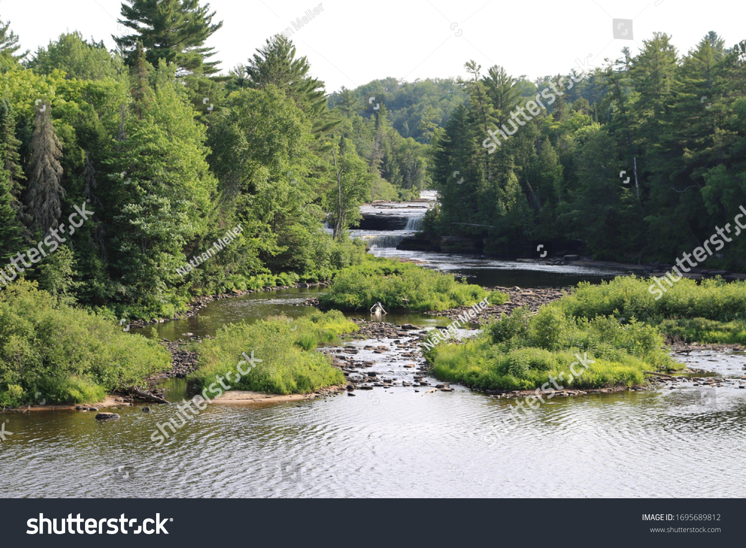 Peaceful pictures of fresh water flowing through a forest landscape in ...