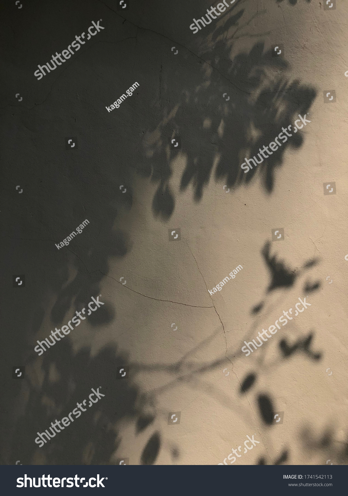 The shadow of the tree on the wall_站酷海洛_正版图片_视频_字体_音乐素材交易平台_站酷旗下品牌