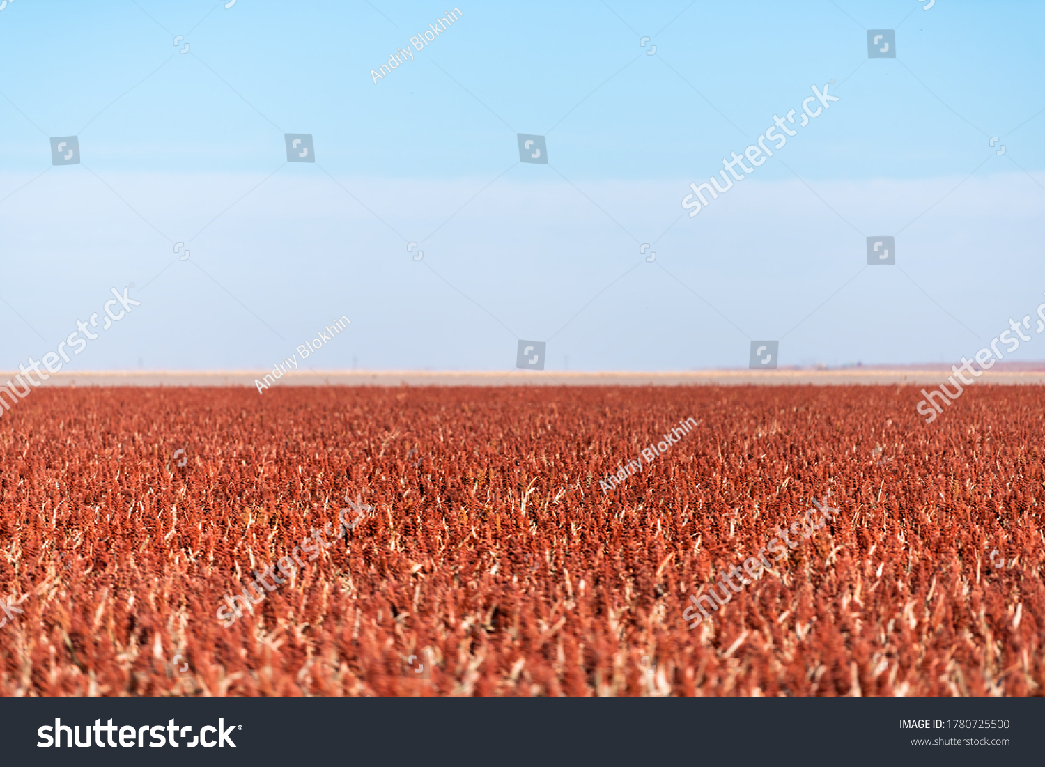 Kansas countryside rural country with farmland farm field in autumn ...