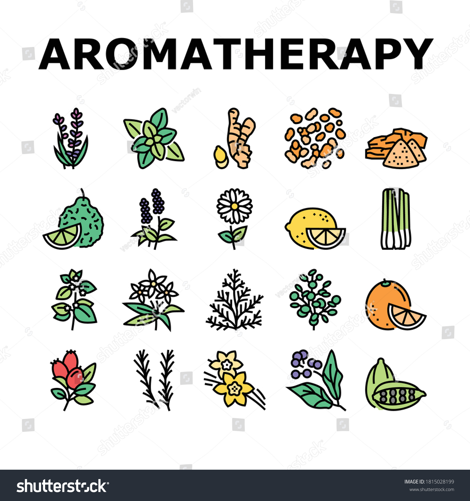 Aromatherapy Herbs Collection Icons Set Vector. Lavender And Peppermint ...