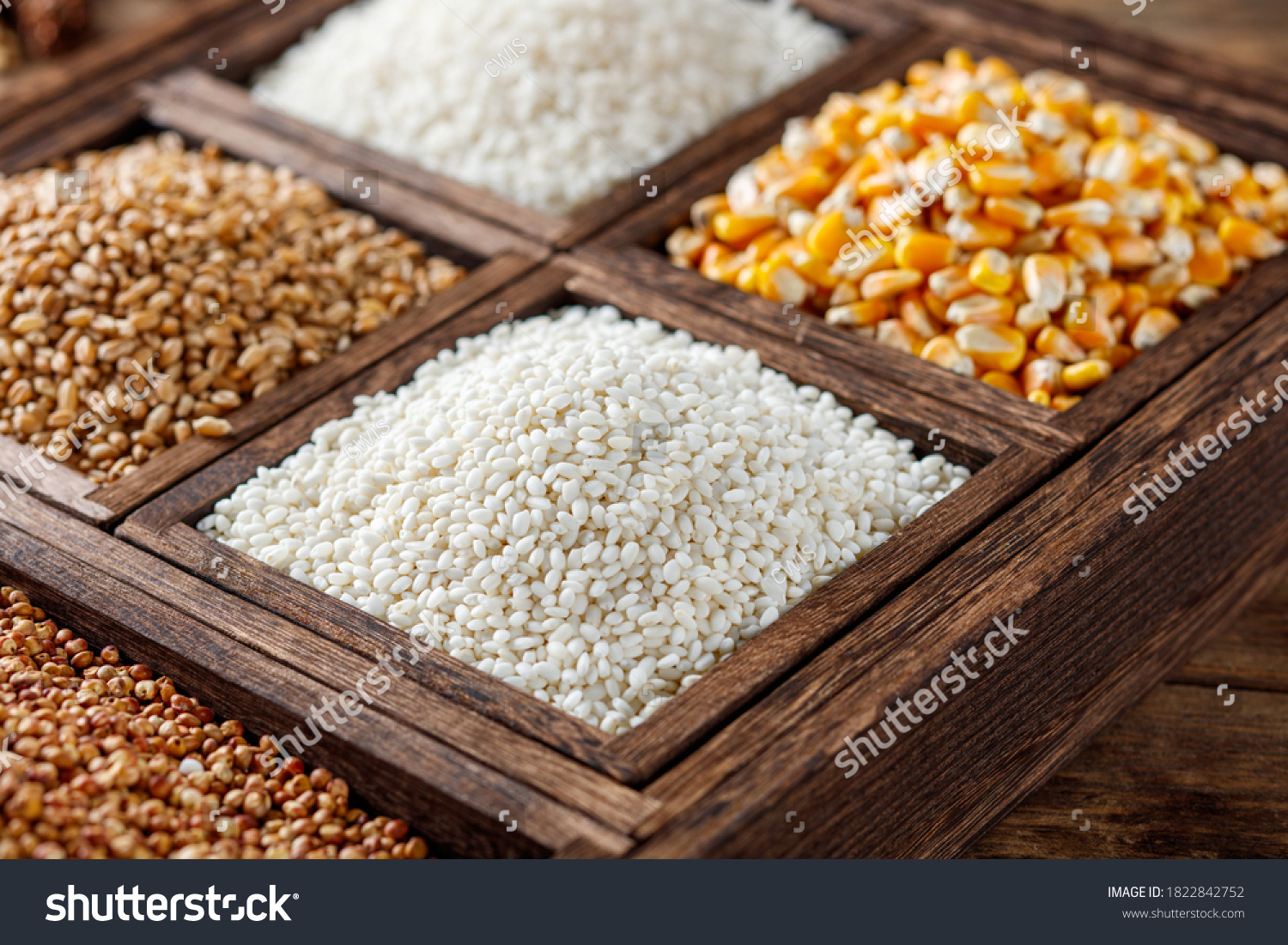 Close up of five different kinds of dried grains as the ingredient of ...
