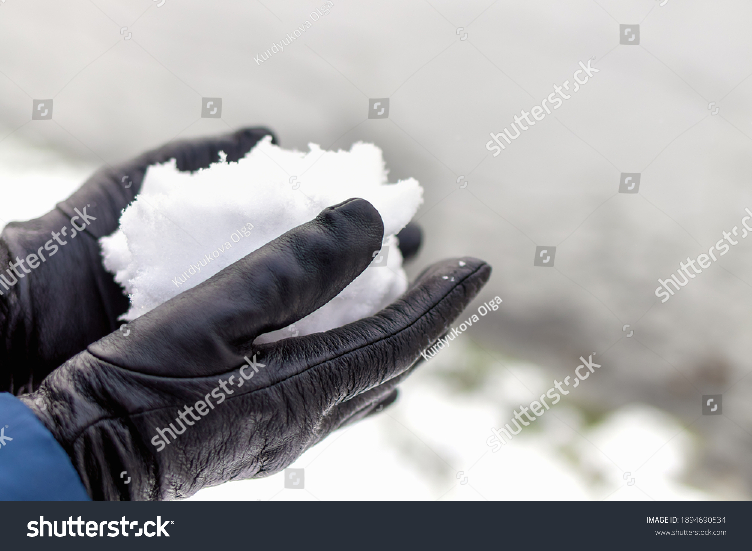 Close-up of snow in hands of woman in leather gloves. Concept of ...
