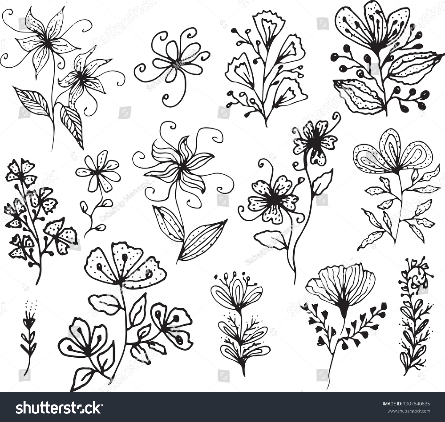 Big set of hand drawn floral vector with leaves and branches Floral ...