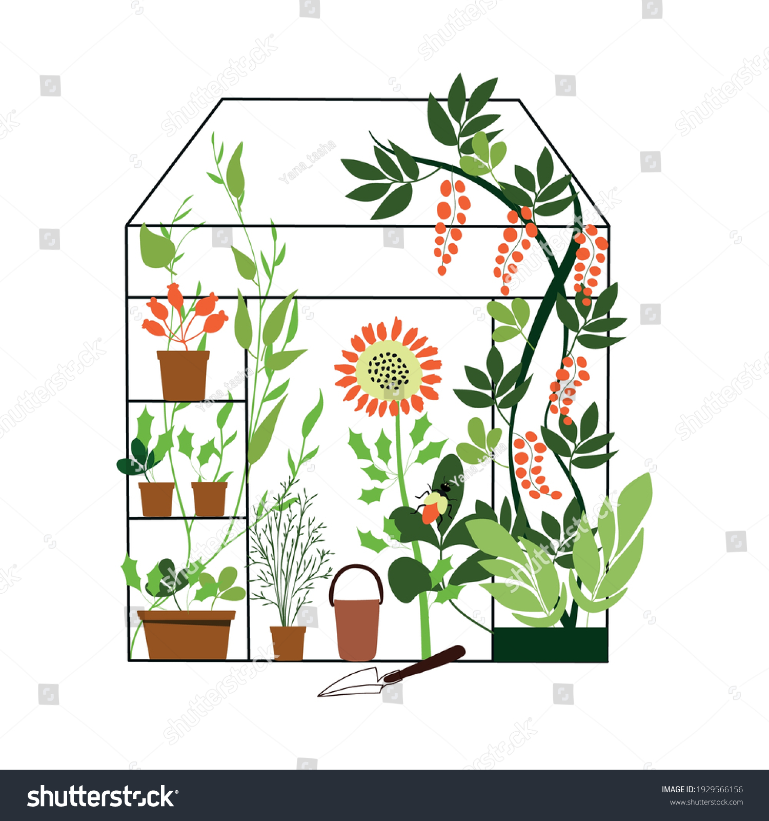 Nature pattern greenhouse gardening. Fence flowers drawing on a white ...