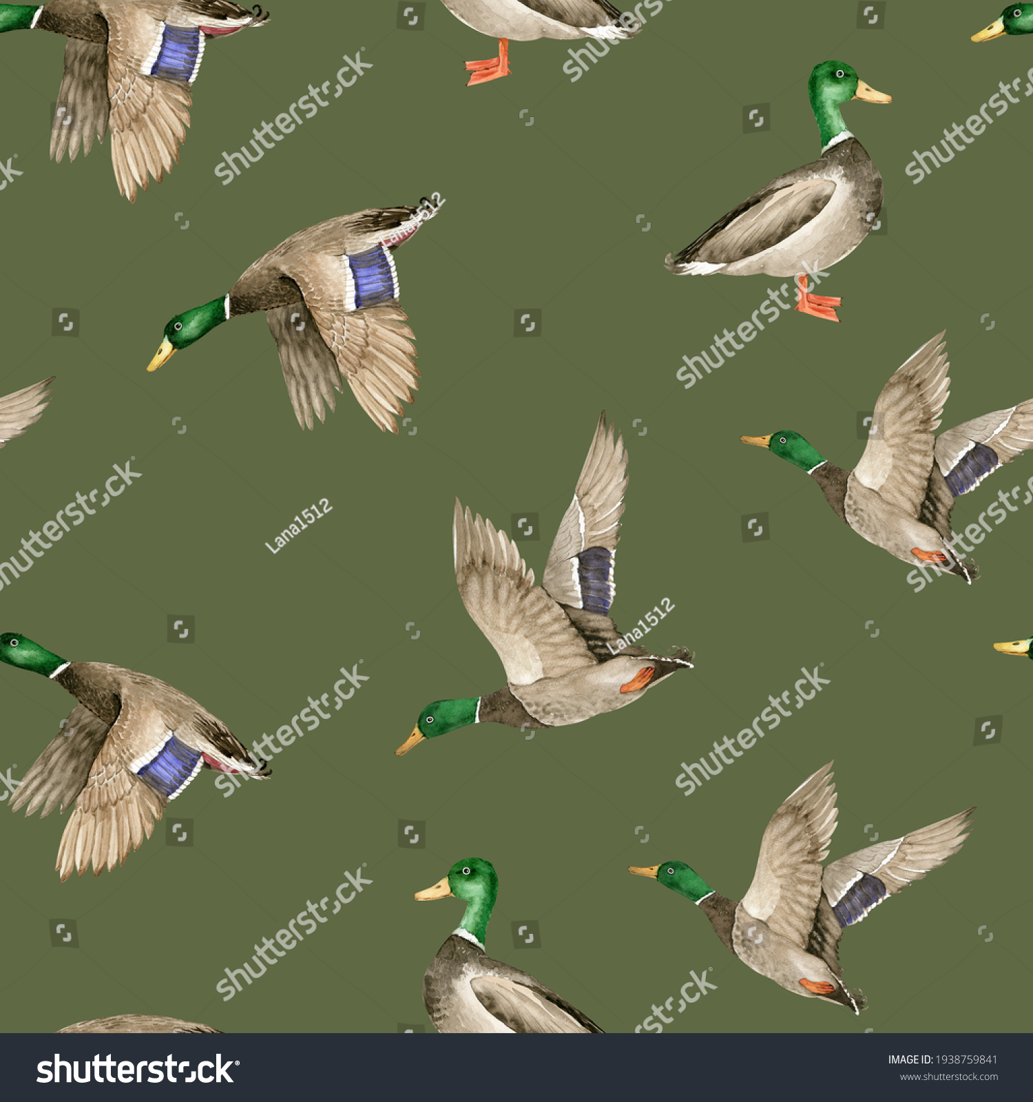 seamless pattern with birds wild ducks drake on green background ...