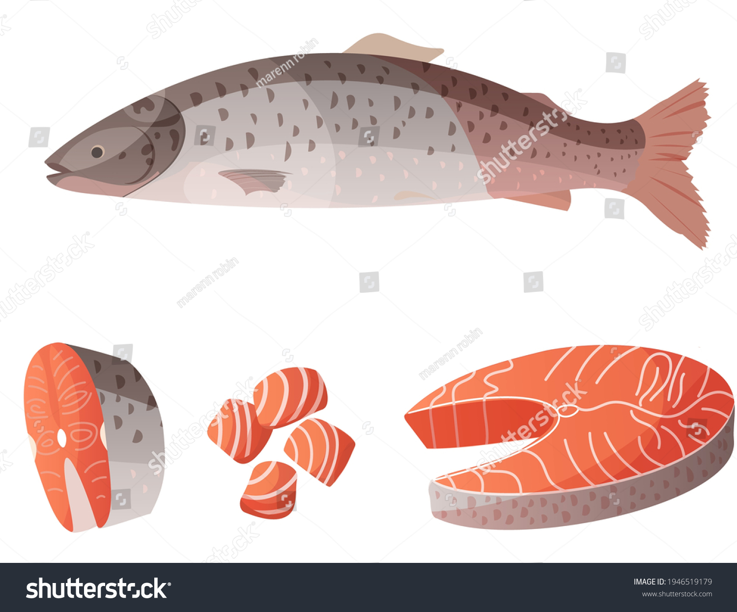 Salmon fish. Set fillet steak red fish in cartoon style. Vector ...