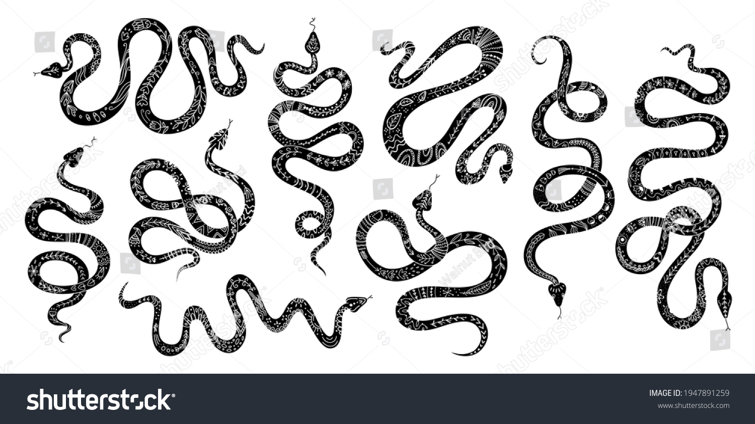 Vector set of snakes with ethnic ornament. Silhouettes of snakes with ...