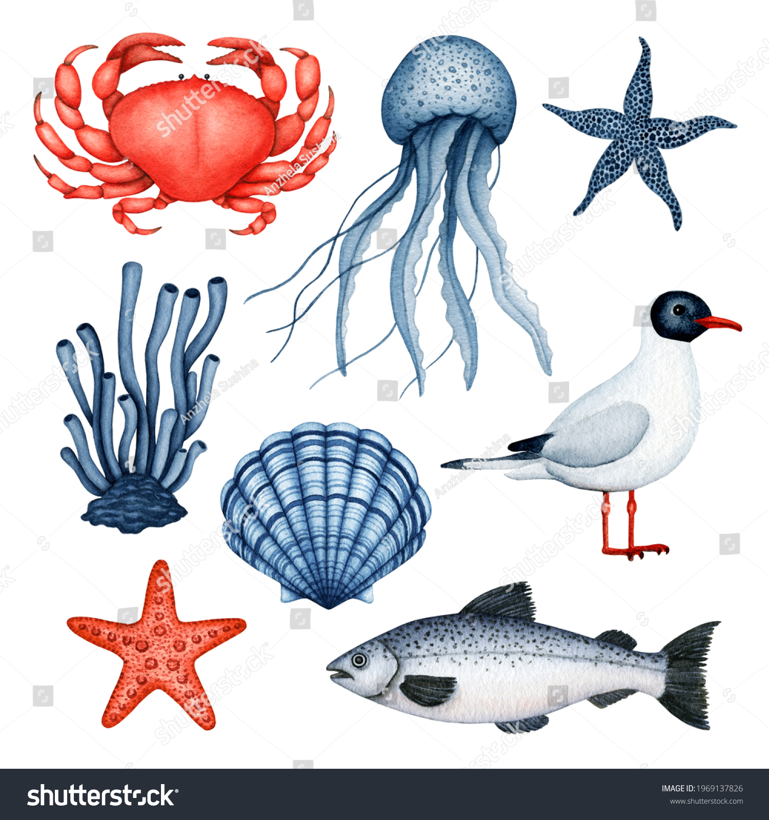 Watercolor underwater wild animal set. Jellyfish Crab Starfish Polyp ...