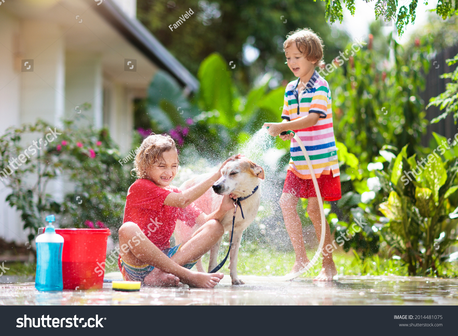 Kids wash dog in summer garden. Water hose and sprinkler fun for kid ...