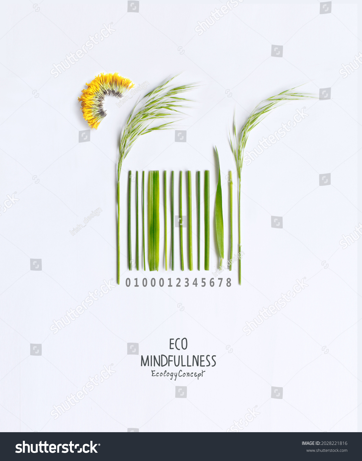 Barcode made of green grass and sprout isolated on a white background ...