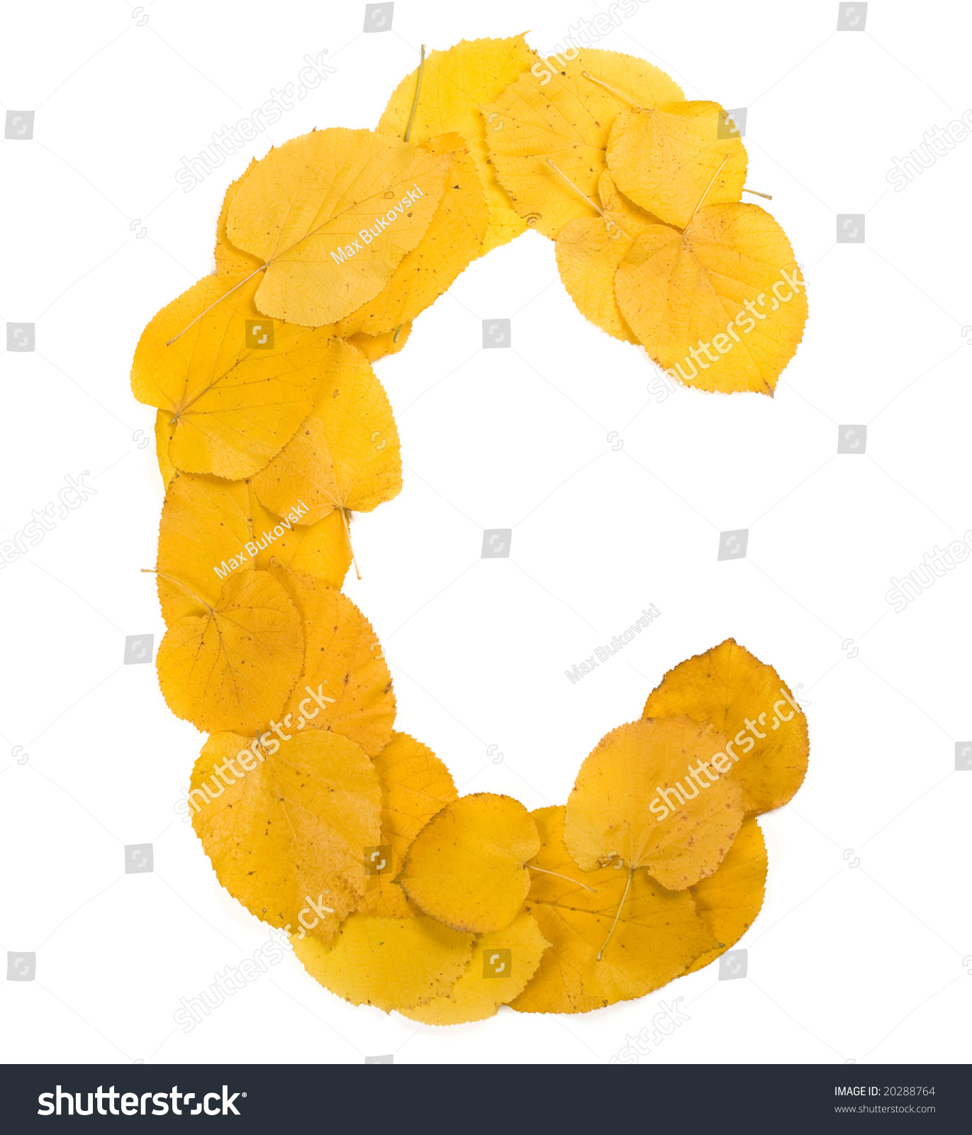 Autumn leaf letter C_站酷海洛_正版图片_视频_字体_音乐素材交易平台_站酷旗下品牌