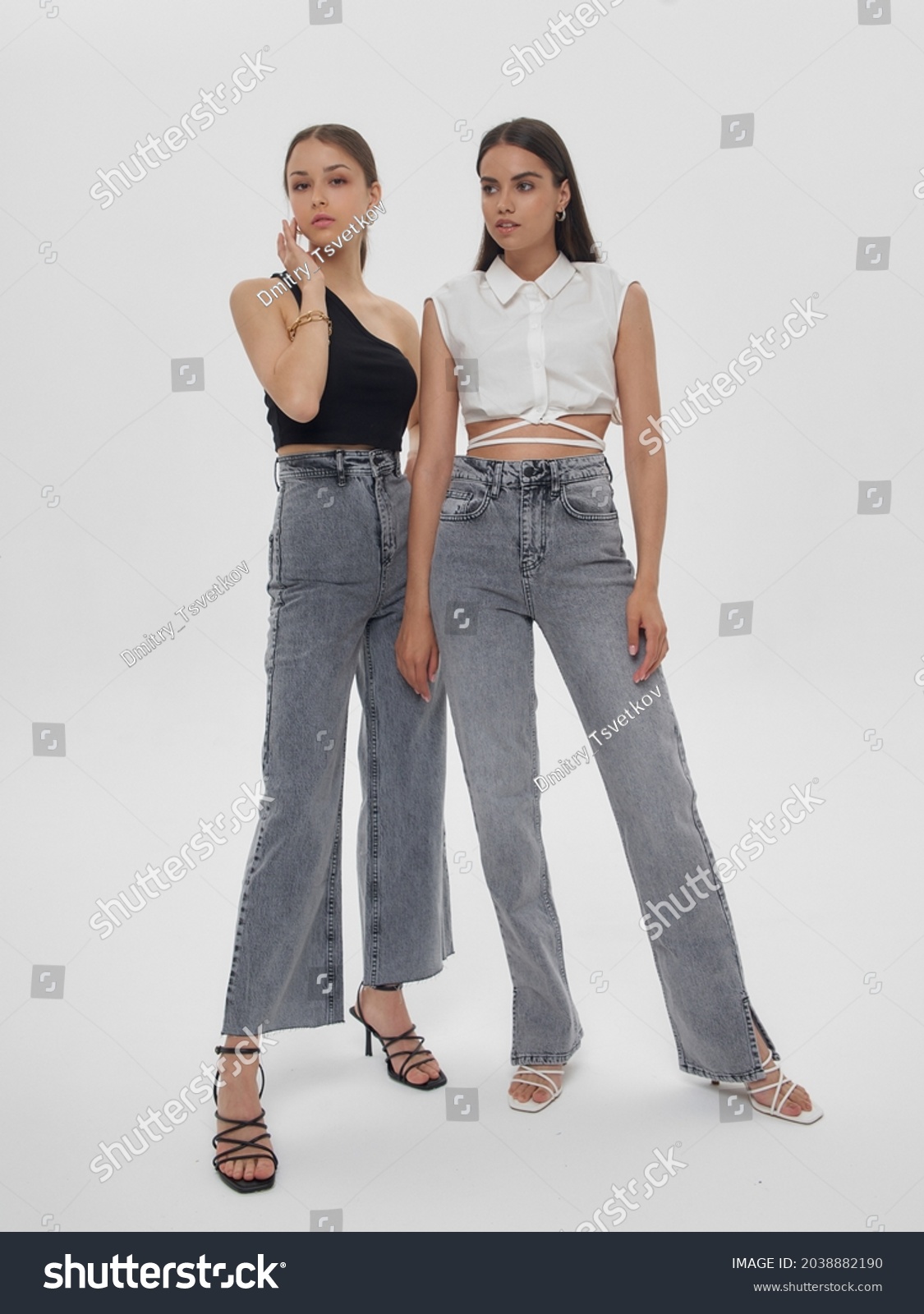 Two young elegant woman in posing together at white background. Fenale fashion models in grey ...