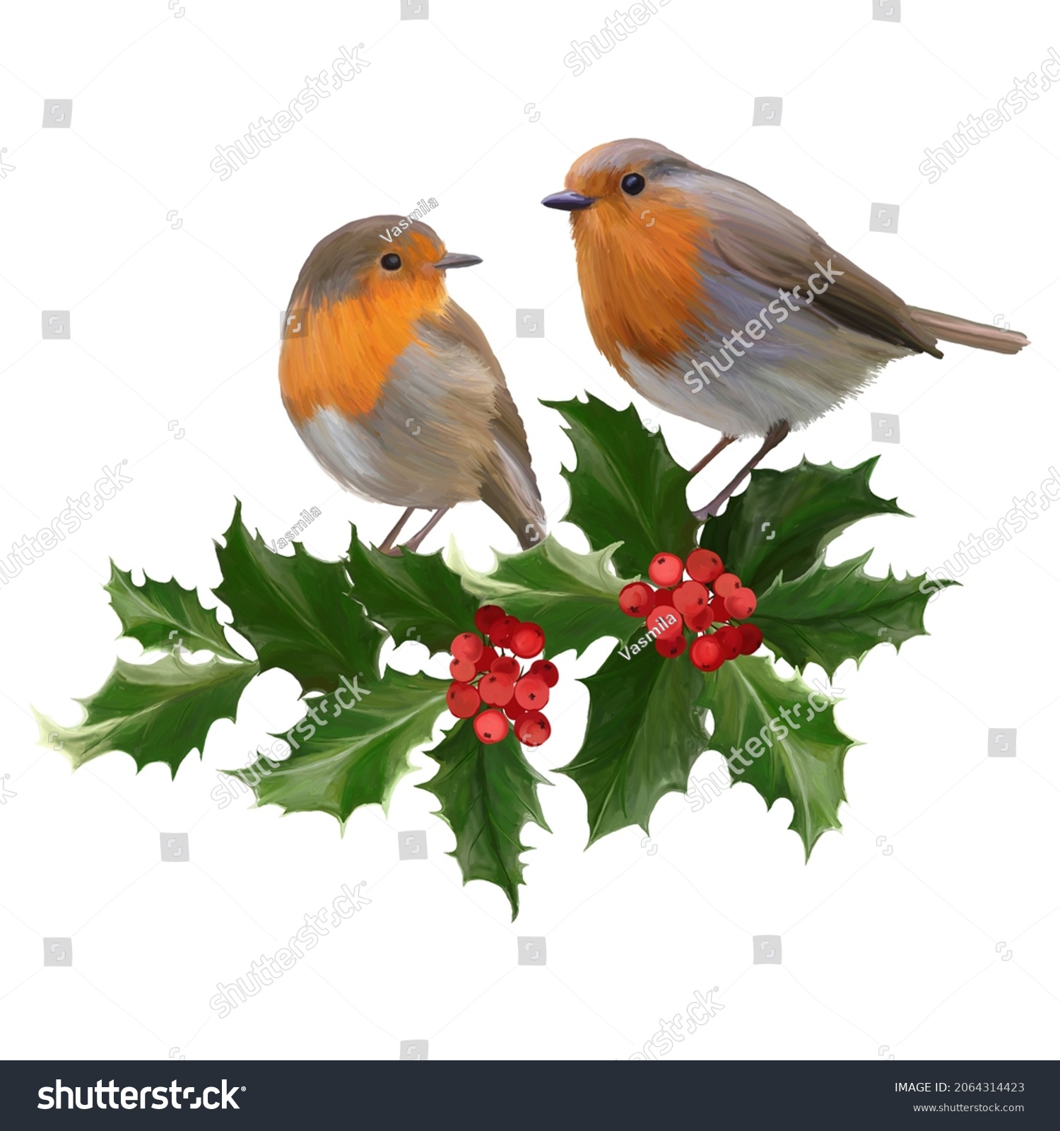 Two robins on a holly branches. Christmas decoration for greeting cards ...