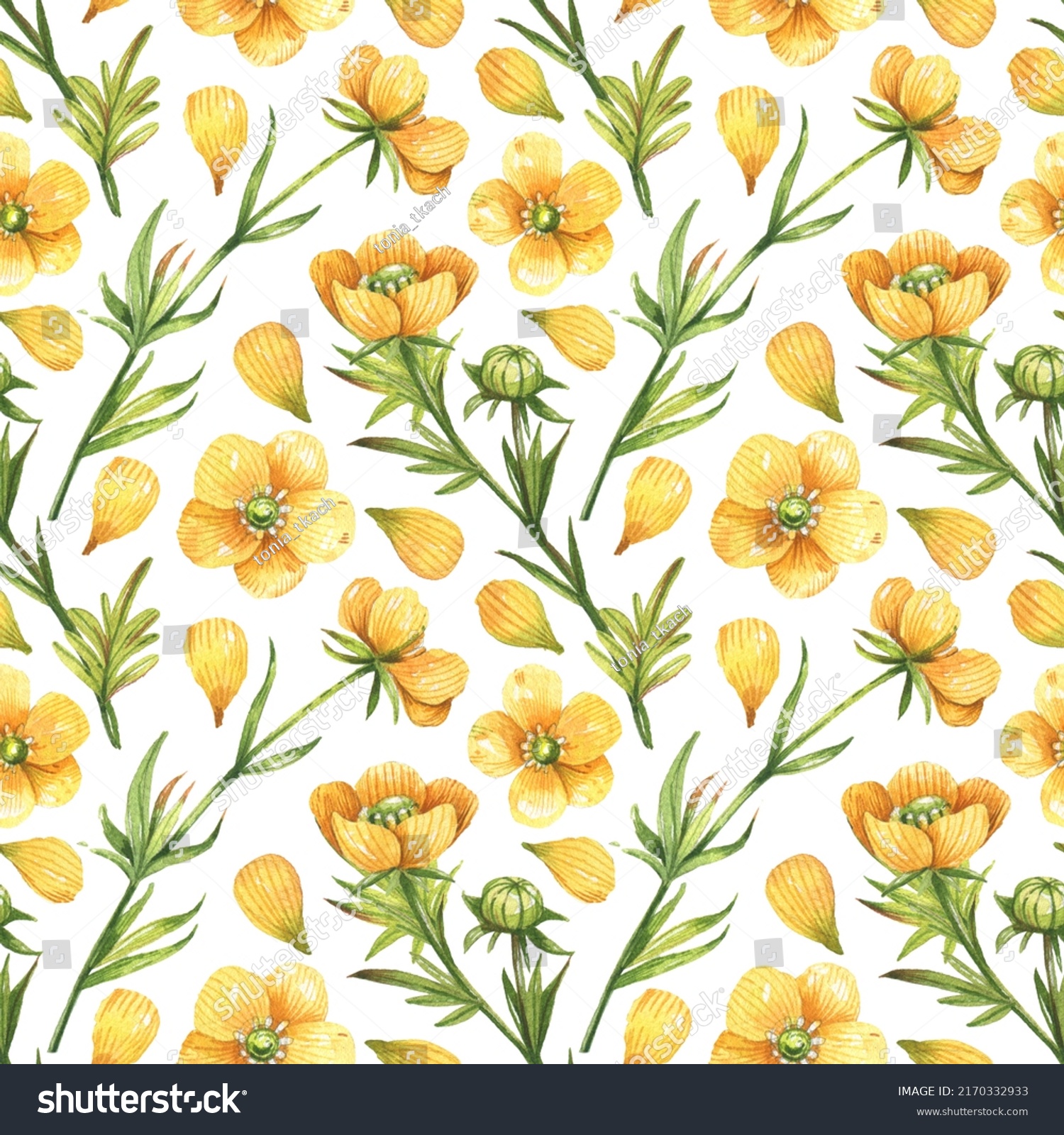 Watercolor hand painted seamless pattern with yellow buttercup flowers ...