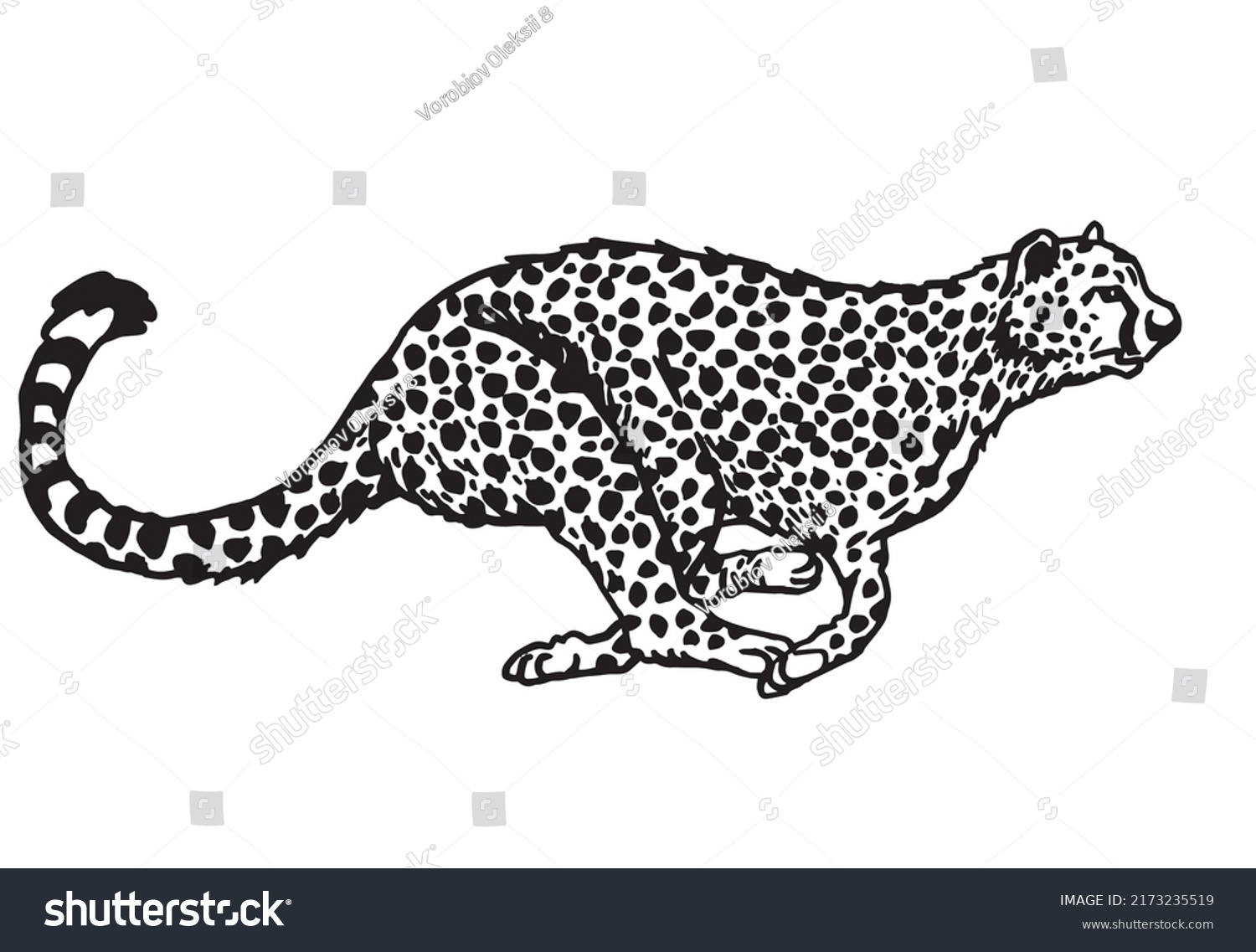 Graphical leopard running isolated on white vector hand-drawn ...