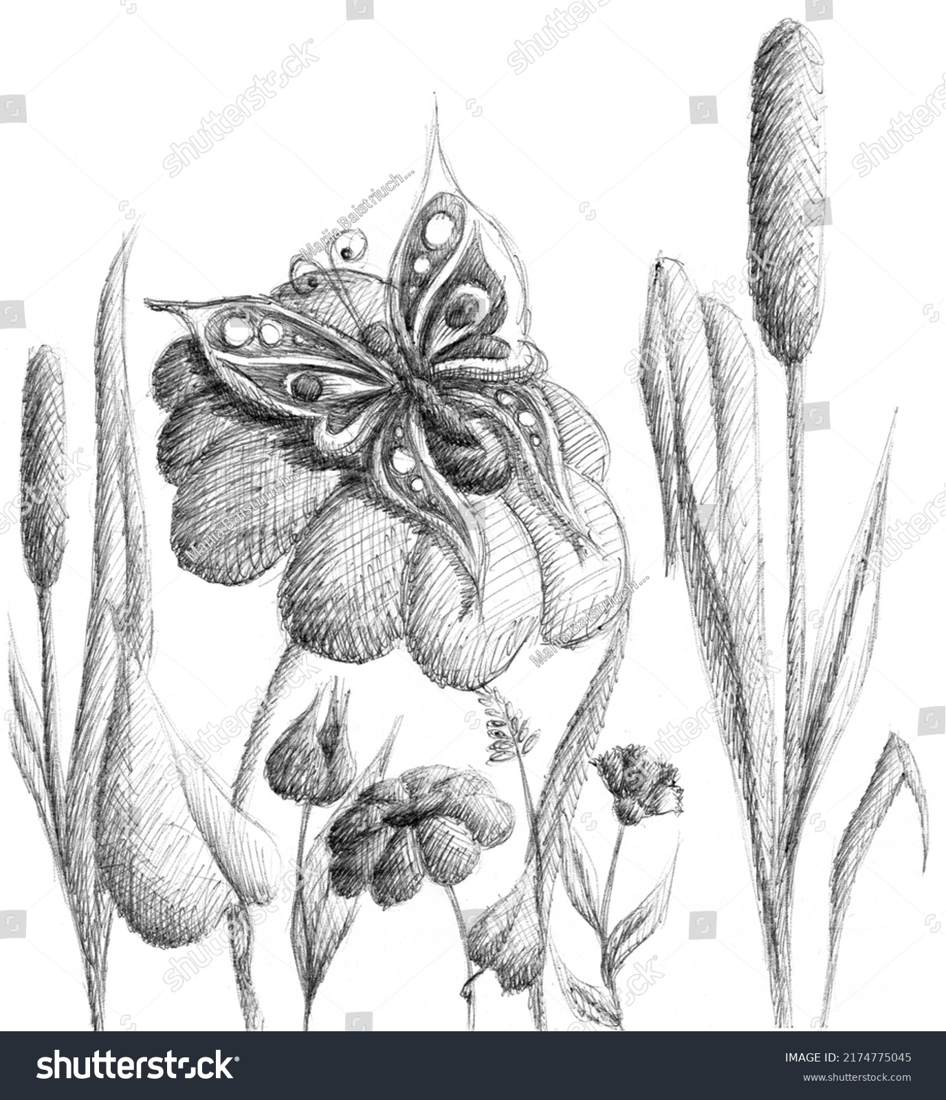 Sketch bouquet of flowers daisy butterfly bulrush. Vintage floral ...