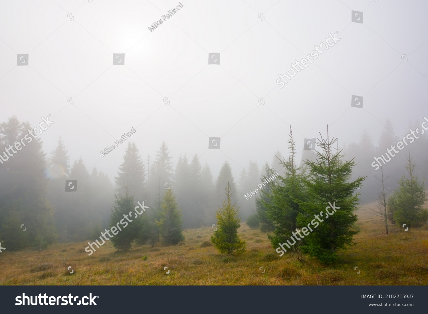 countryside landscape on a misty morning in autumn. mysterious nature ...