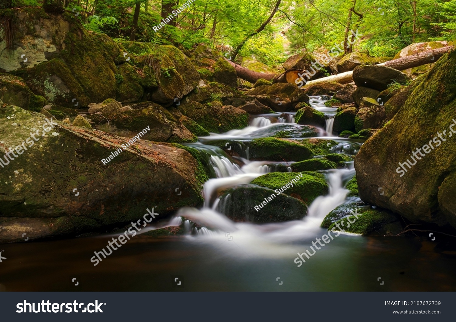 A beautiful stream in the forest. Forest cold creek flowing. River ...
