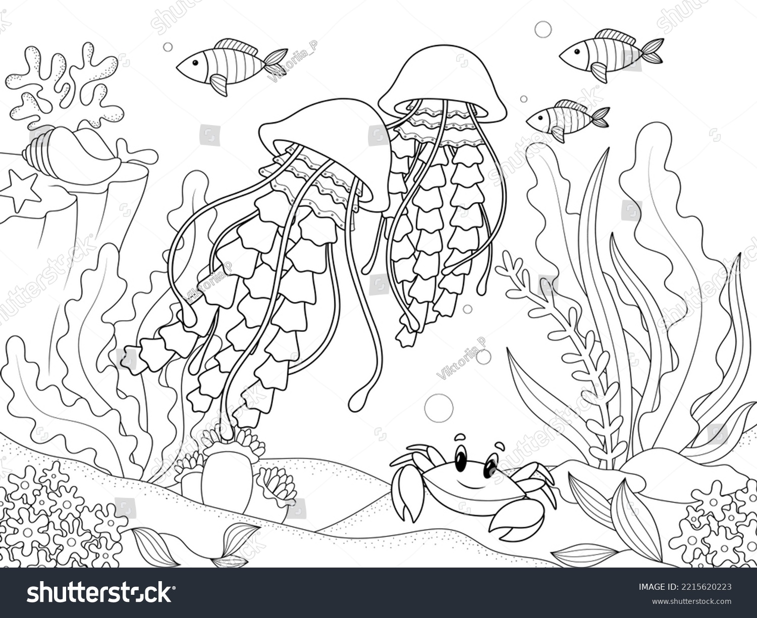 Seabed marine animals. The jellyfish swims among algae and other fish ...