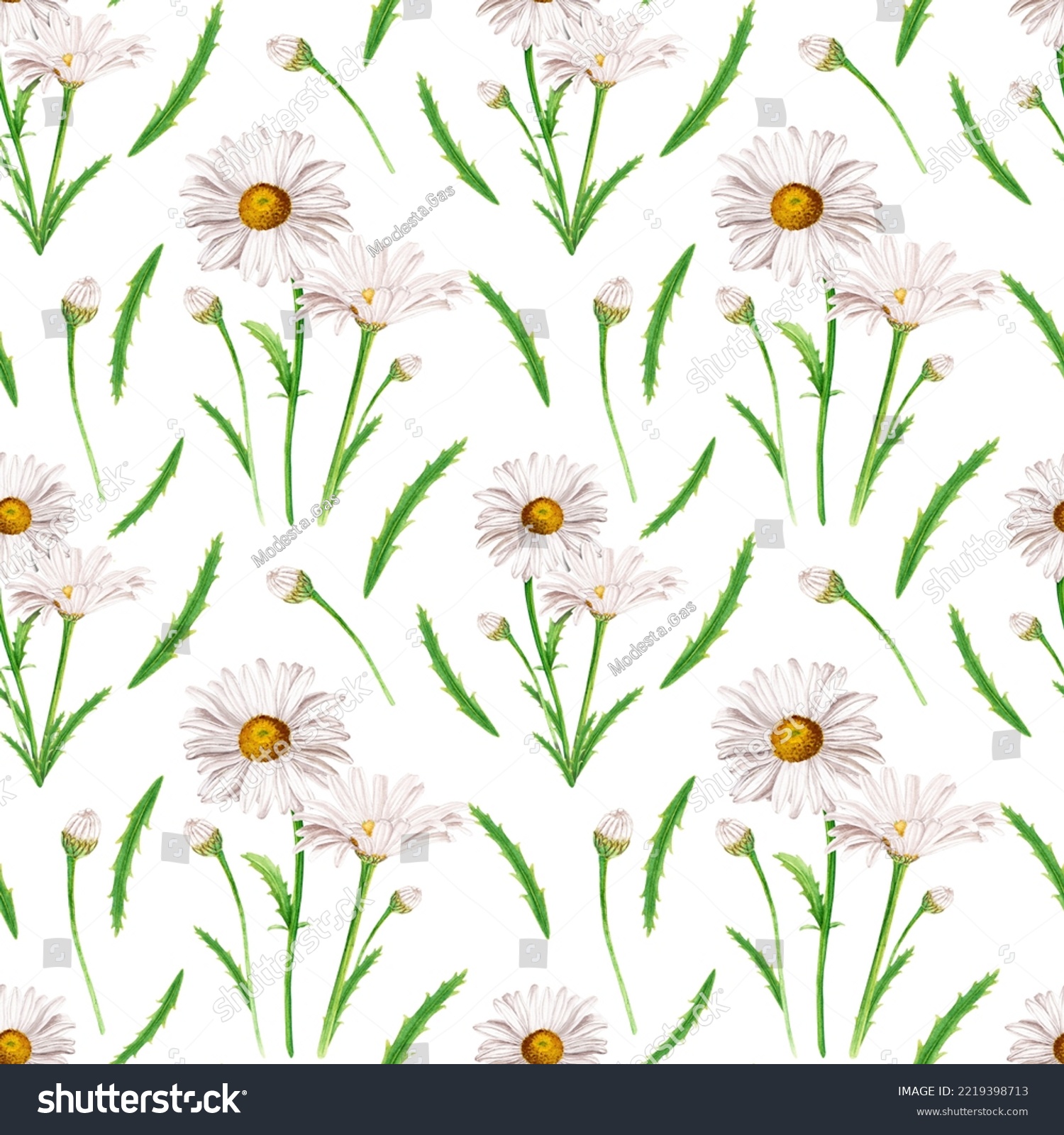 Watercolor daisy flower seamless pattern hand drawn illustration ...