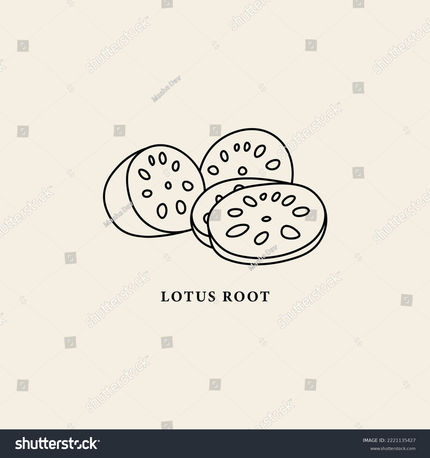 Line art lotus root illustration_站酷海洛_正版图片_视频_字体_音乐素材交易平台_站酷旗下品牌