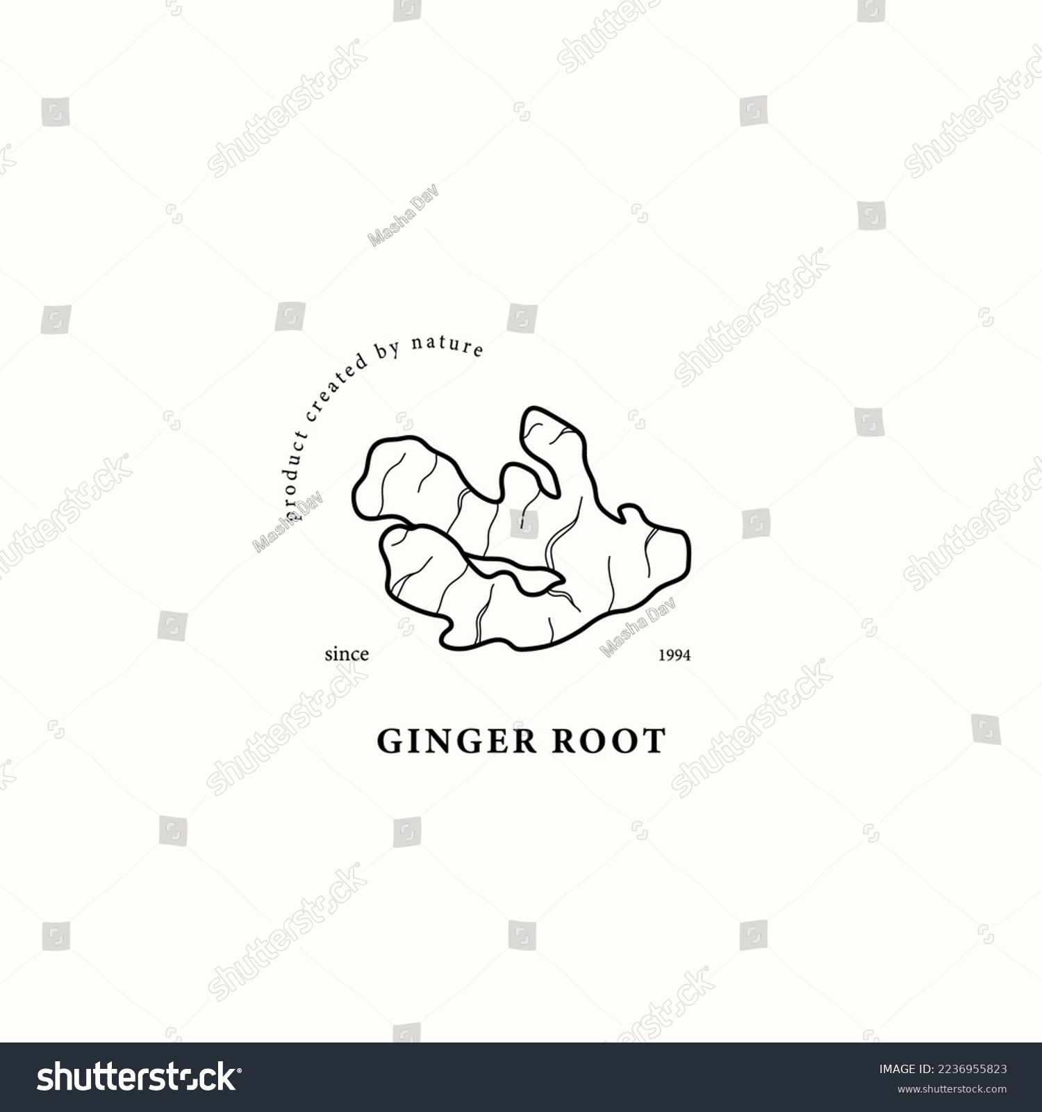 Line art ginger root illustration_站酷海洛_正版图片_视频_字体_音乐素材交易平台_站酷旗下品牌