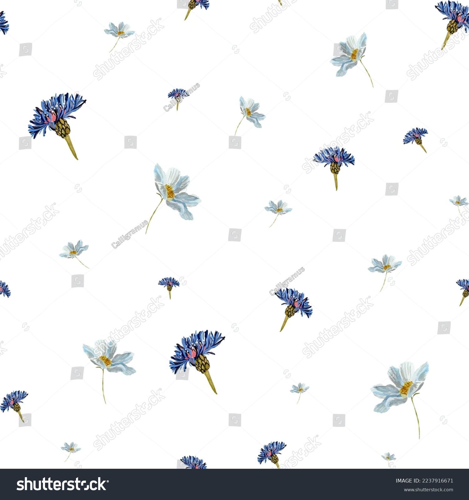Flower blue daisy pattern seamless sketch. A watercolor illustration ...