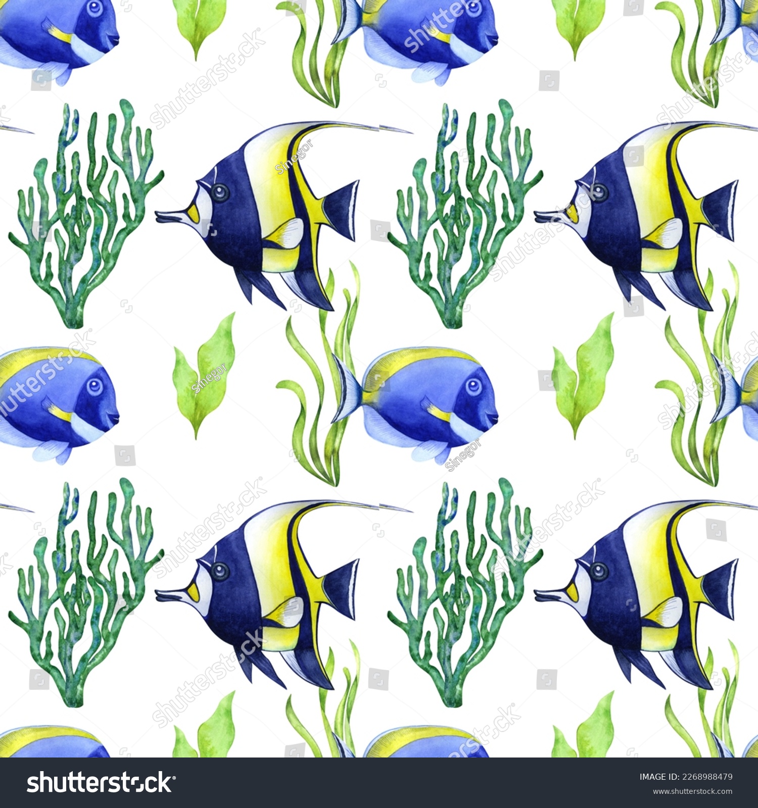 Seamless pattern with fish and algae. Marine theme watercolor. Hand-drawn._站酷海洛_正版图片_视频_字体_音乐素材 ...